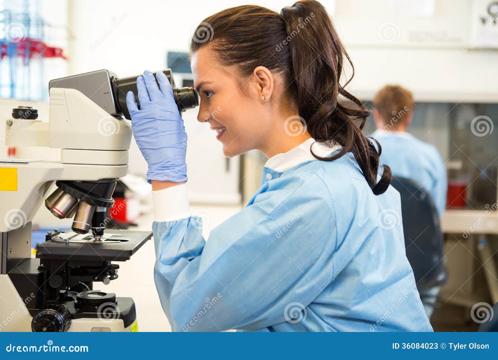 Scientist Using Microscope in Laboratory Stock Image - Image of female ...