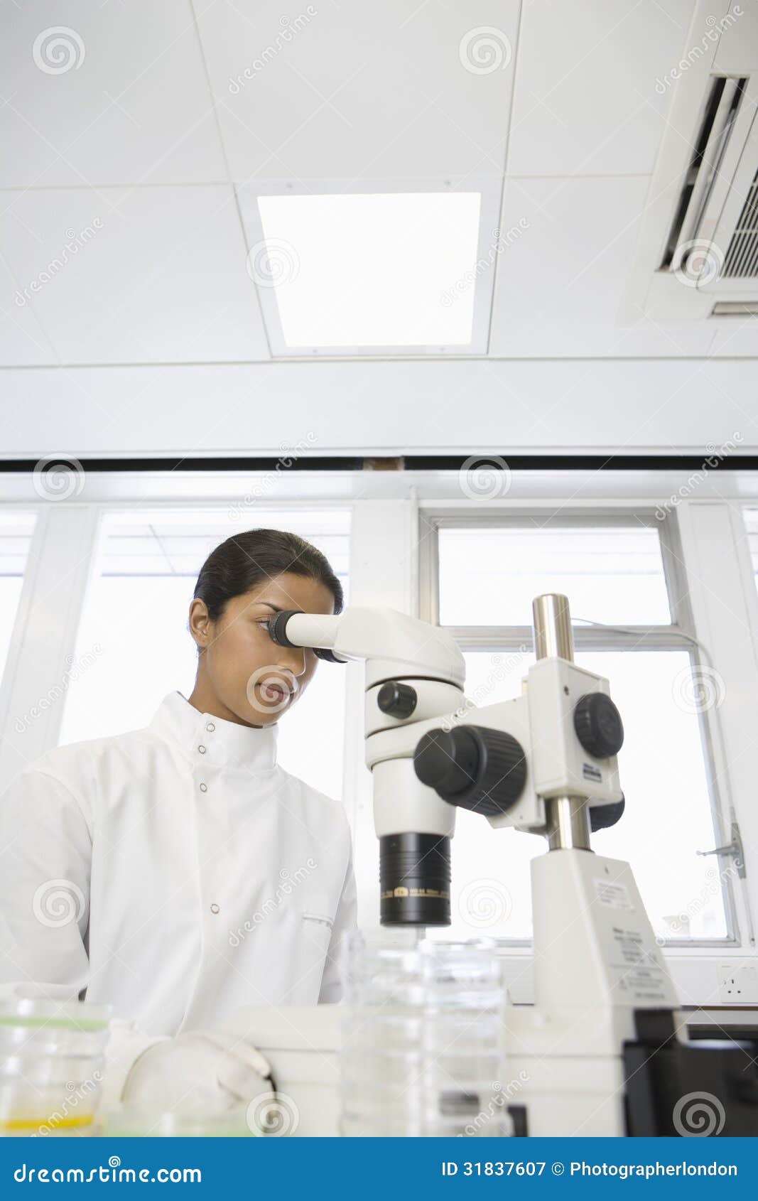 Scientist Using Microscope in Laboratory Stock Image - Image of ...