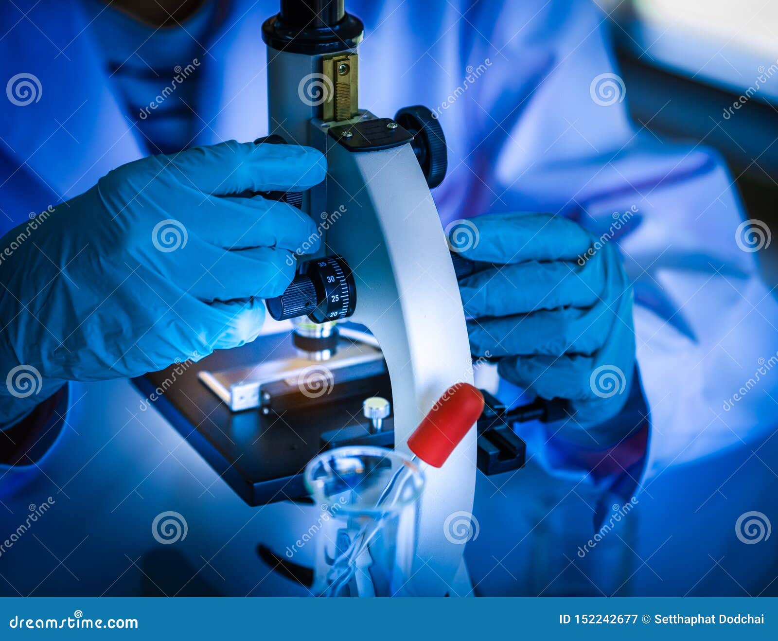 Scientist Using Microscope in Microbiology Lab for Medical Research or ...