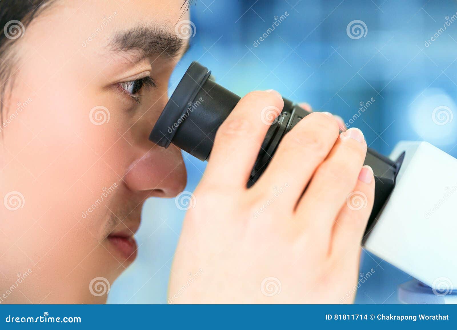 Scientist Using a Microscope at Work in a Laboratory. Stock Photo ...