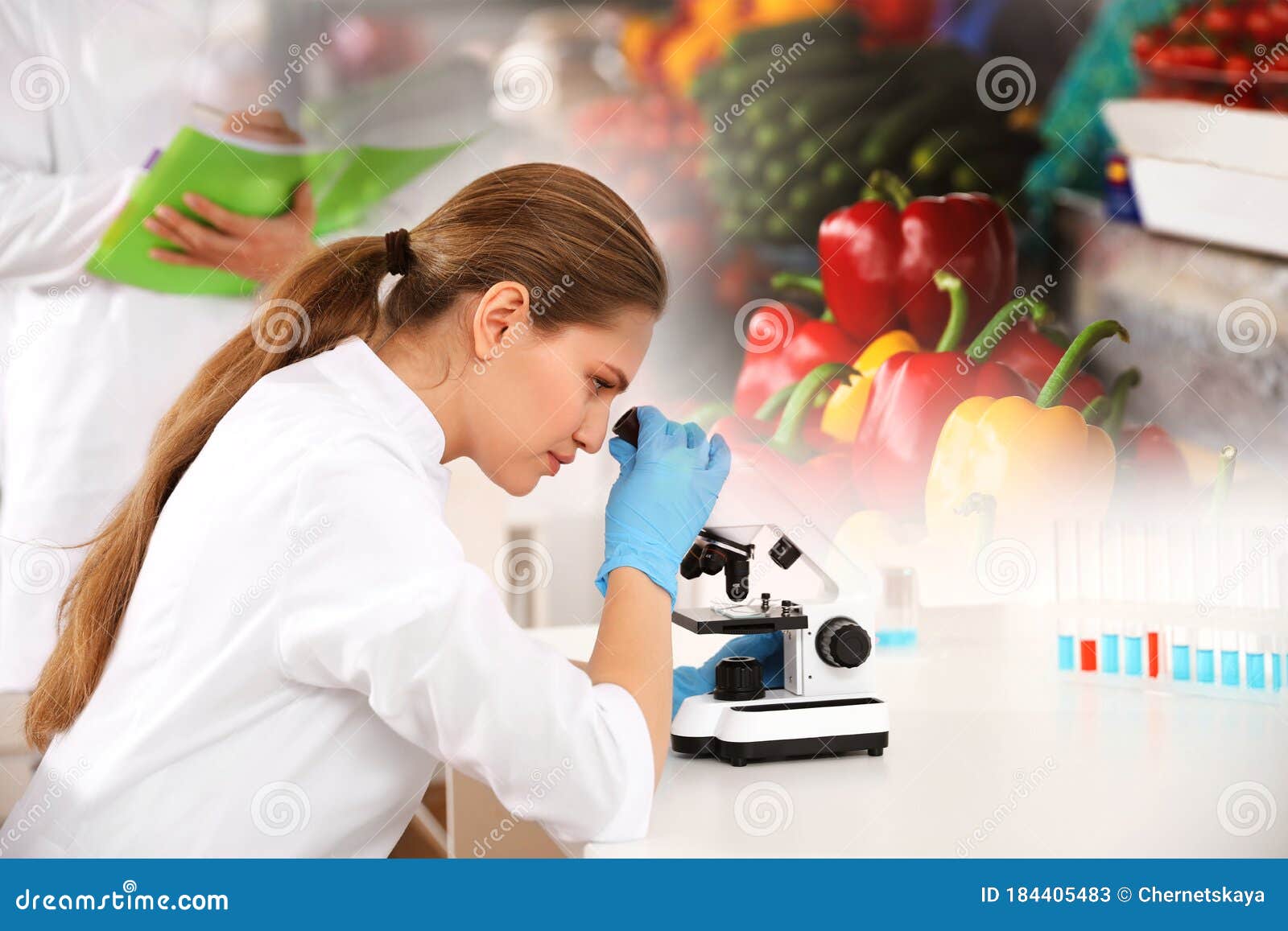 Scientist Using Modern Microscope at Table. Food Quality Analysis Stock ...