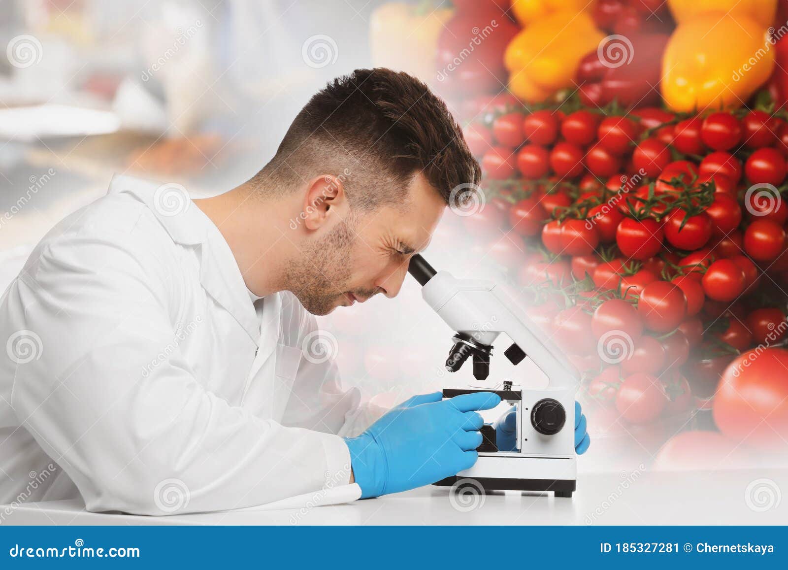Scientist Using Microscope at Table in Laboratory. Food Quality ...