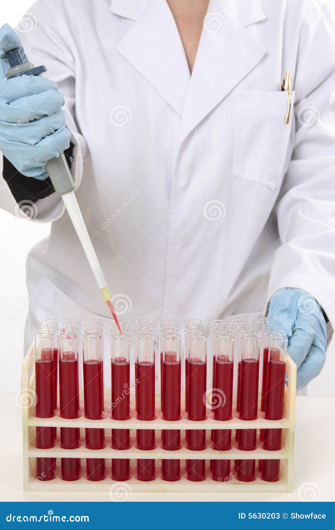 Scientist Using Pipette To Extract Samples Stock Image - Image of ...