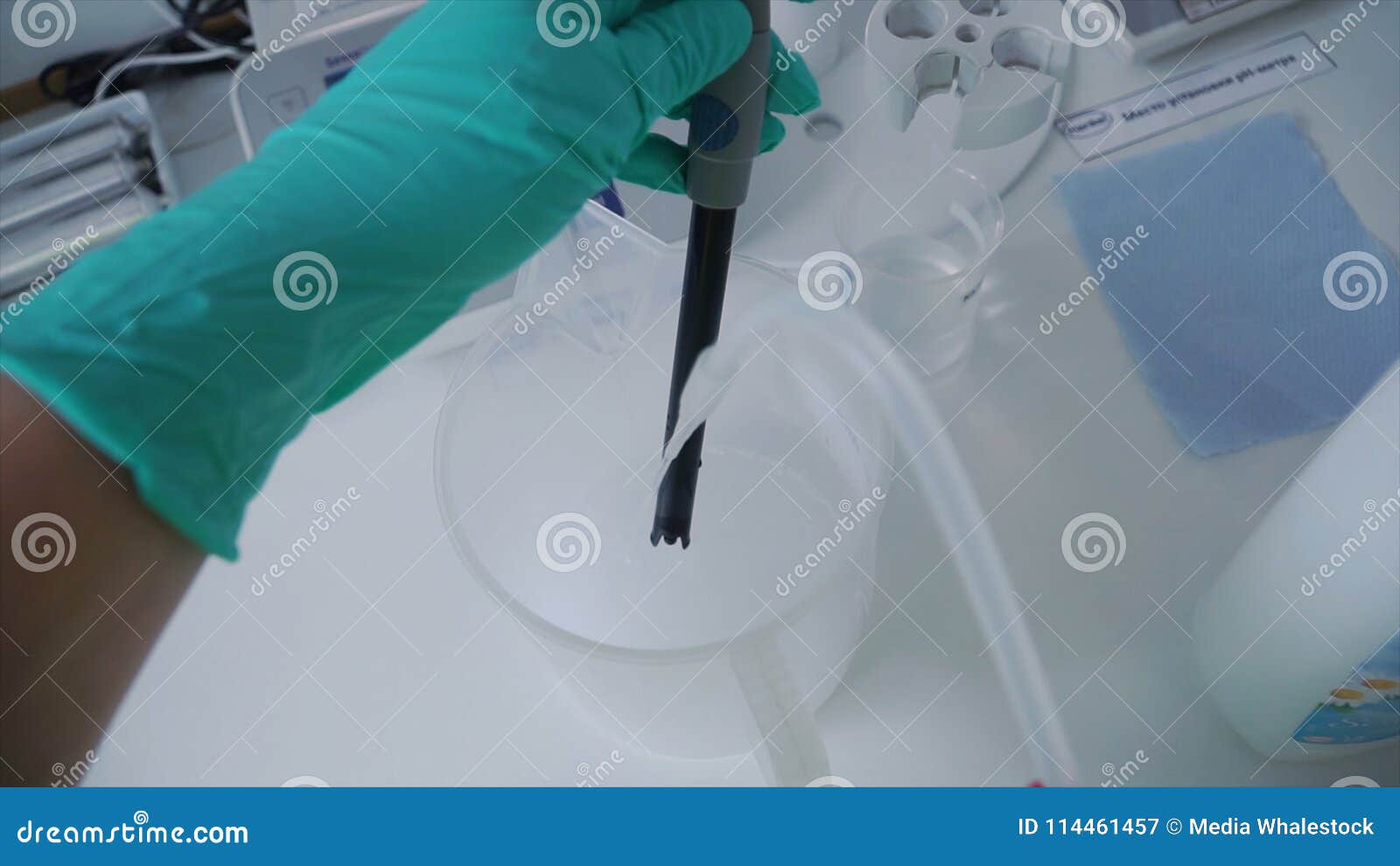 Scientist Using Protective Gloves for Handling Dangerous Substances and ...