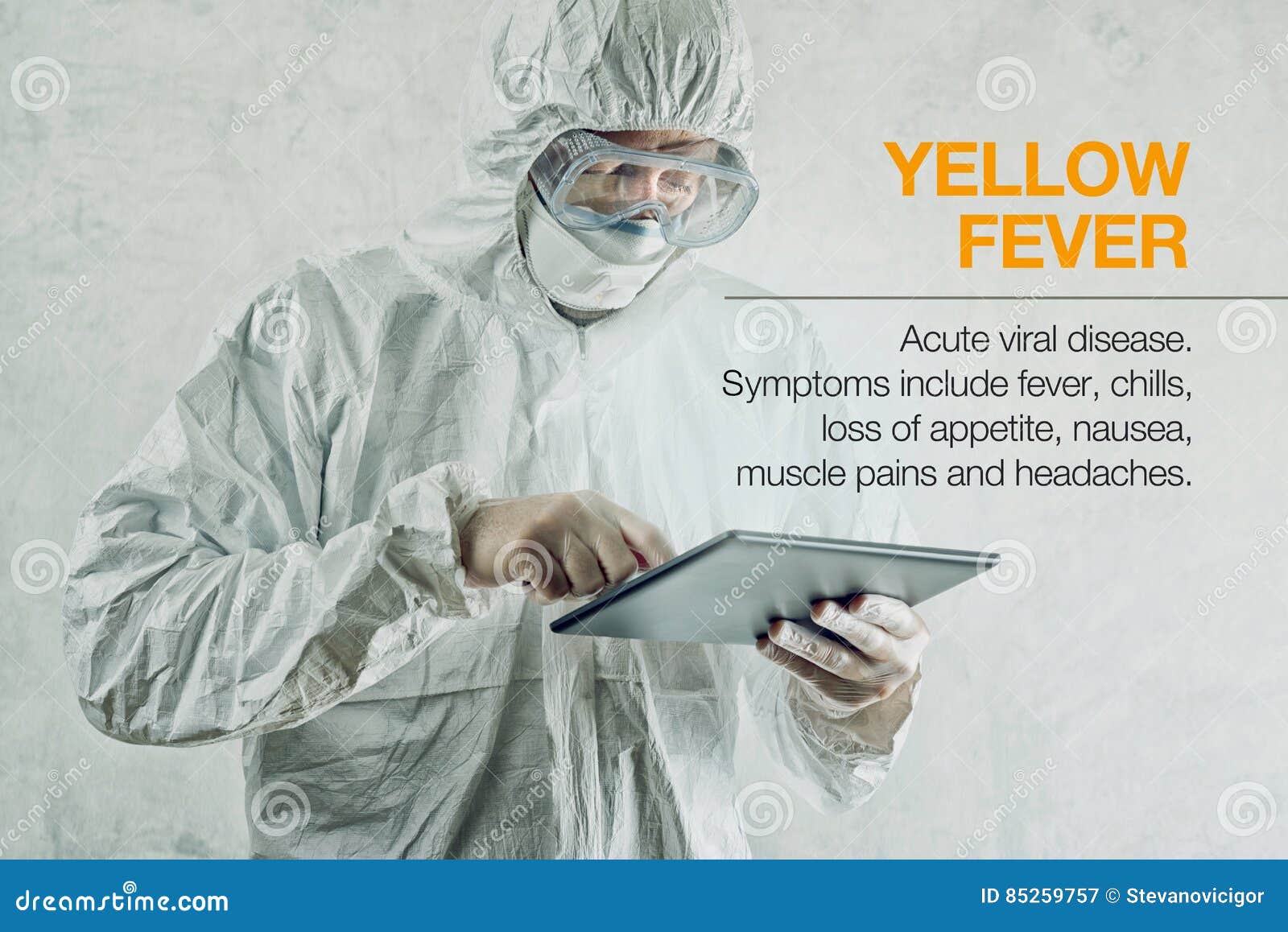 Scientist Using Tablet To Get Informed about Yellow Fever Disease Stock ...