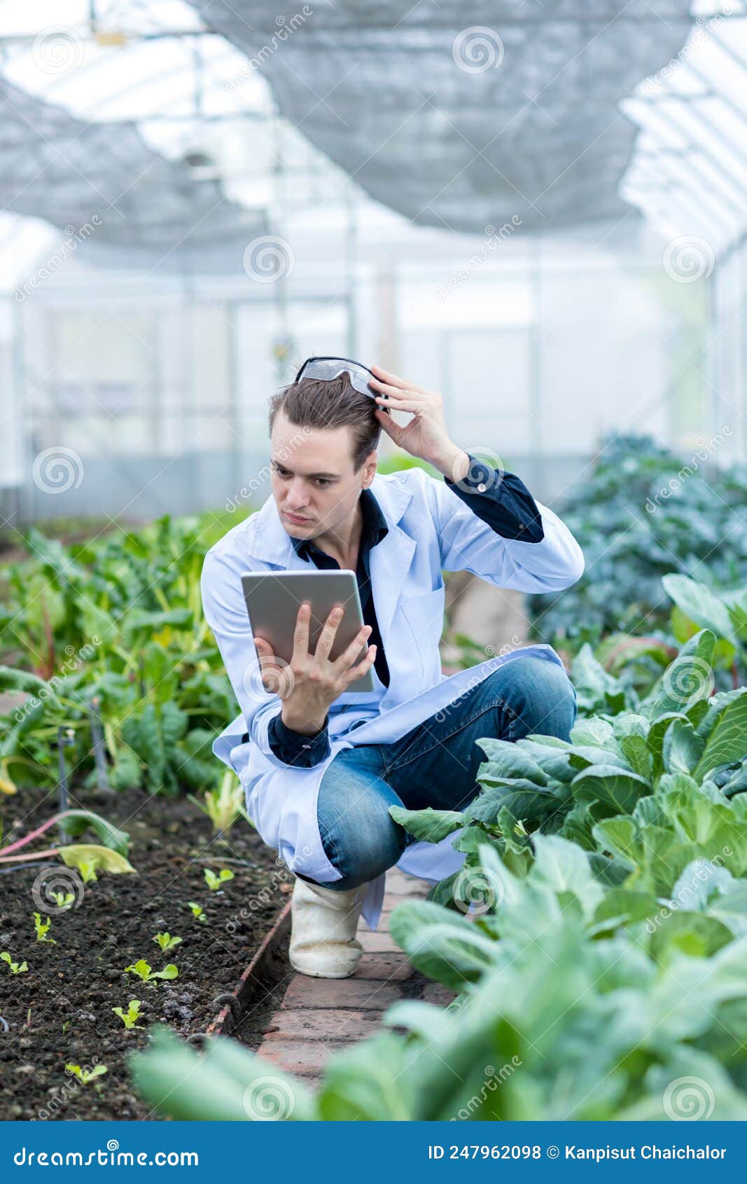 Scientist Using Tablet. Scientist Work at Vegetable Garden Lab Site ...