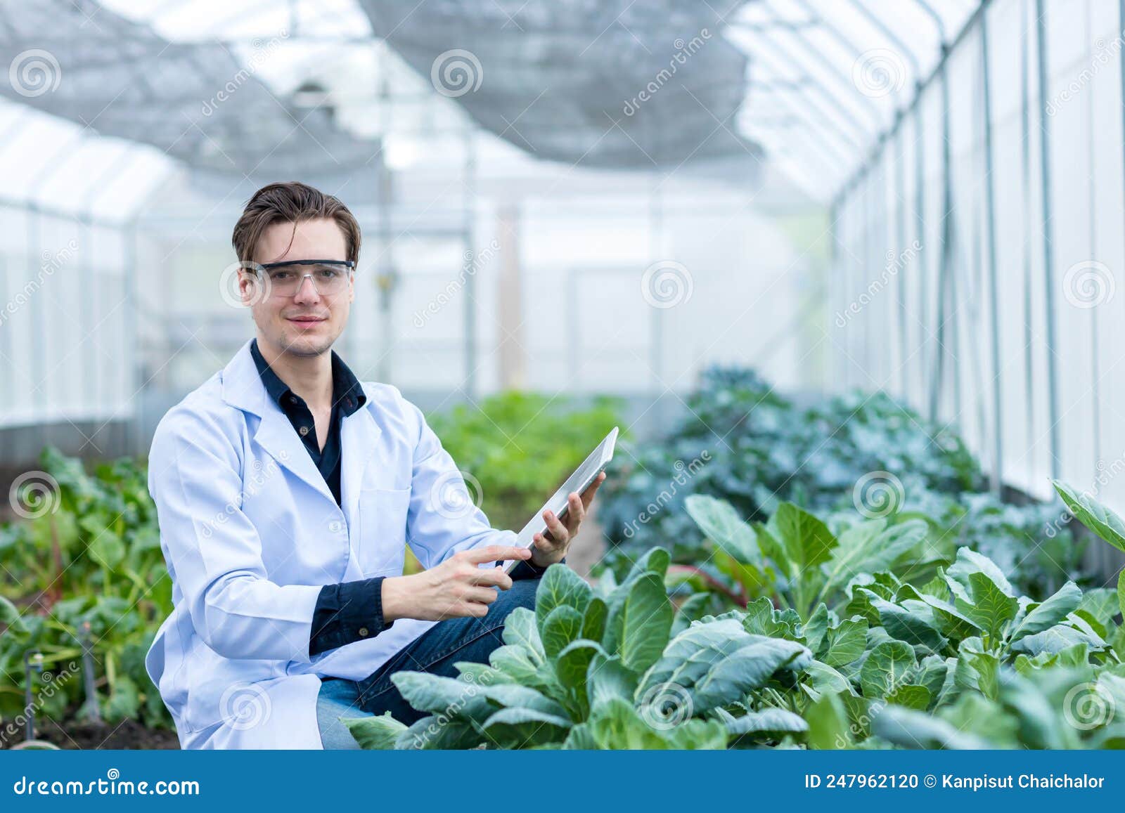 Scientist Using Tablet. Scientist Work at Vegetable Garden Lab Site ...