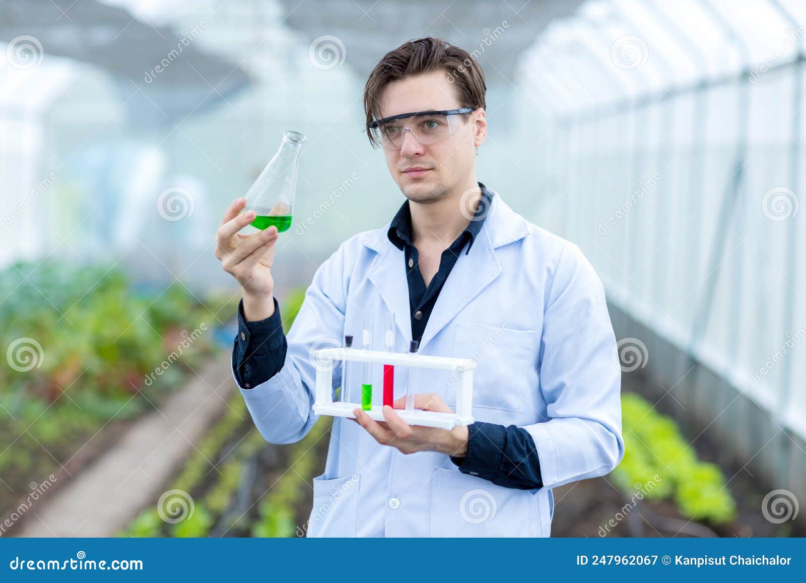 Scientist Using Test Tube. Scientist Work at Vegetable Garden Lab Site ...