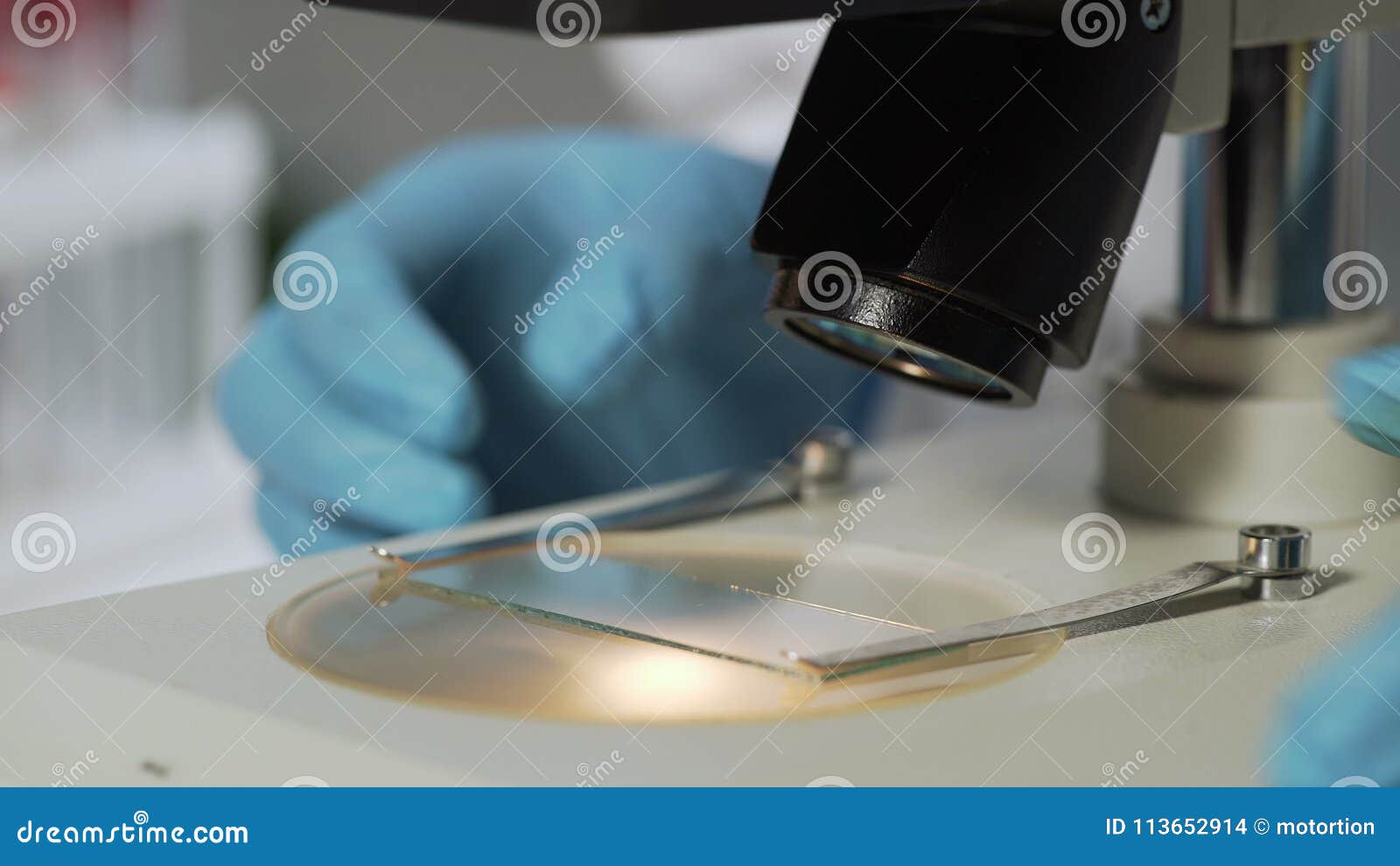 Scientist Viewing Slide with Virus Sample Under Microscope, Medical ...