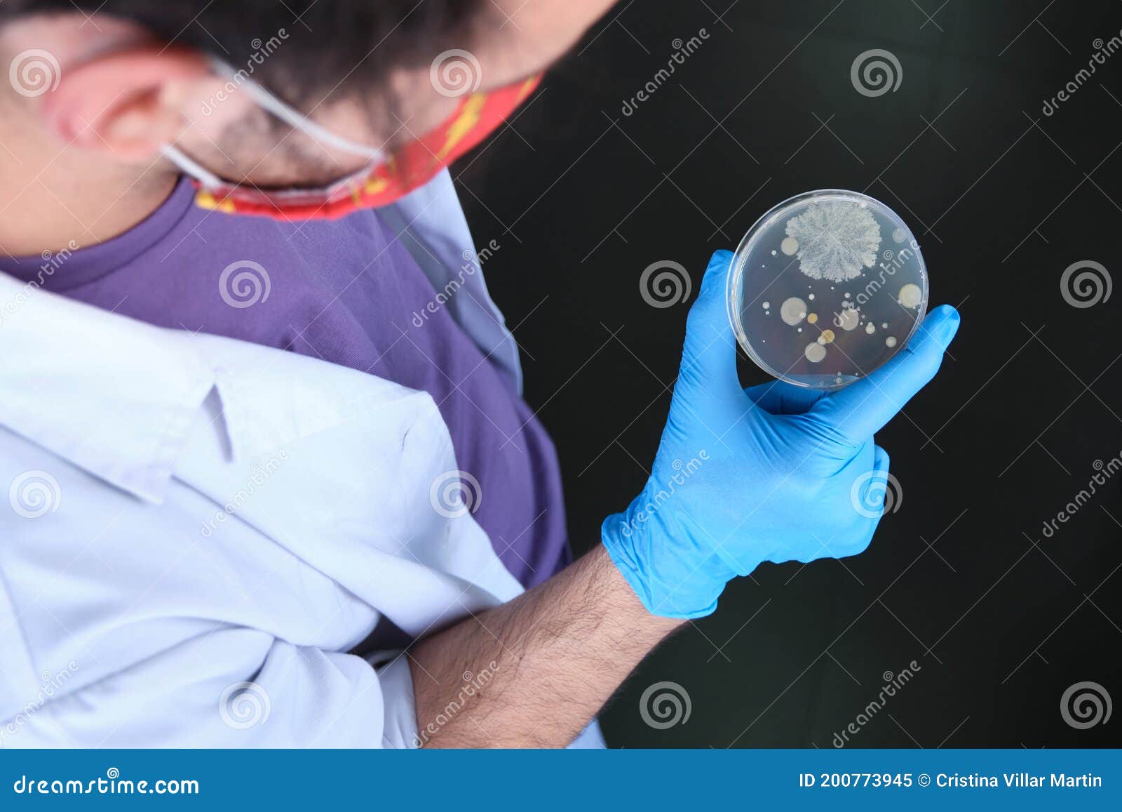 Scientist Wearing Protective Face Mask Holding a Petri Dish with ...