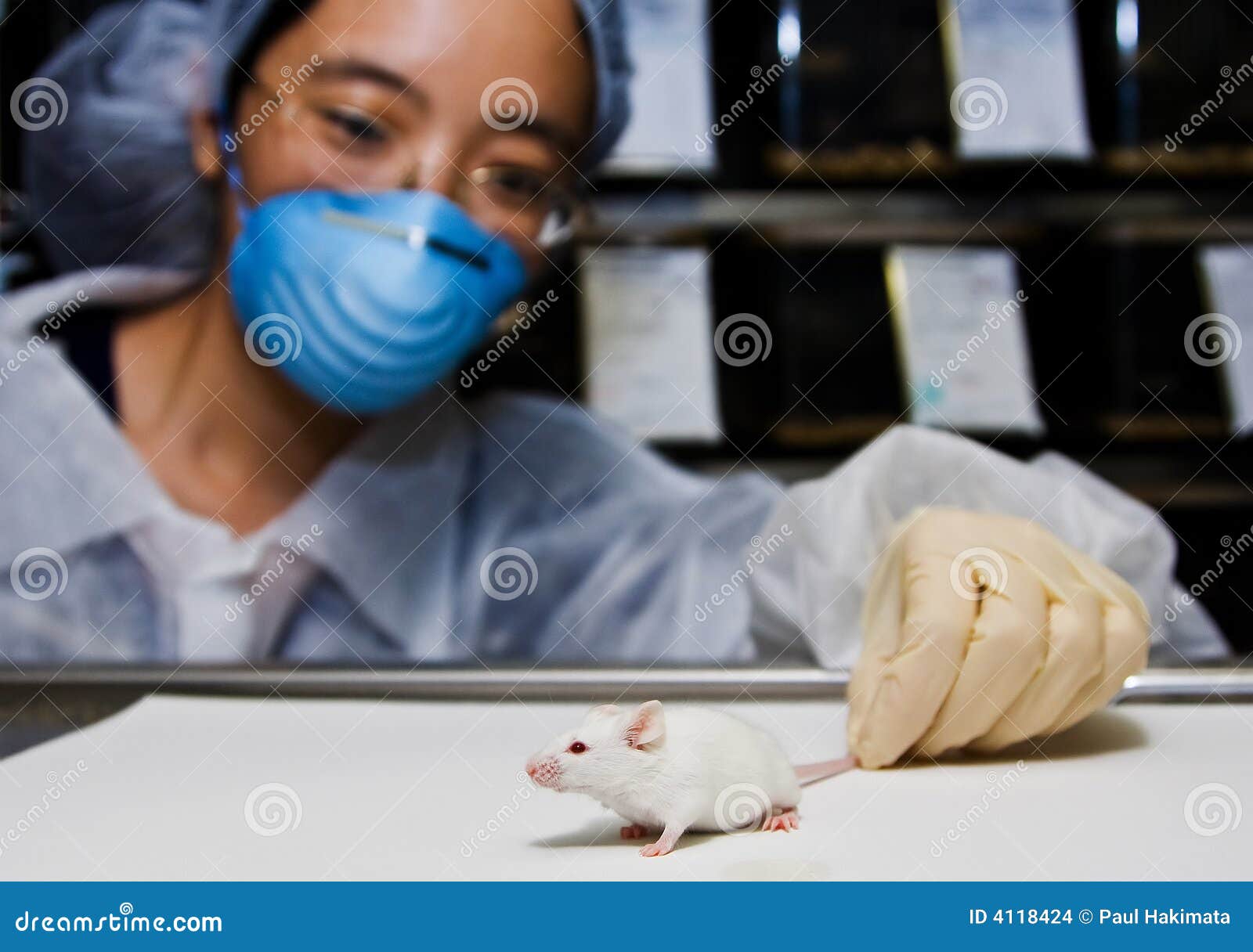 Scientist with white mouse stock photo. Image of latex - 4118424