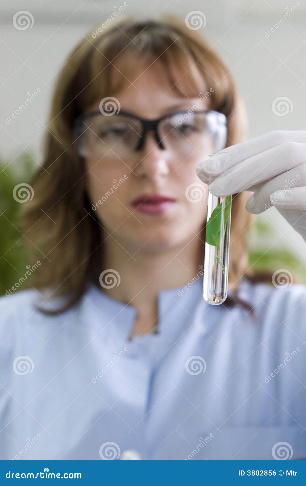 Scientist woman stock photo. Image of glass, dropper, biology - 3802856