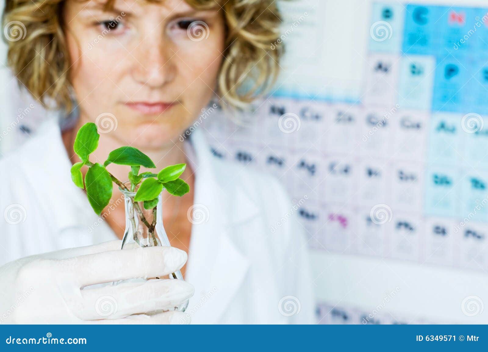 Scientist woman stock image. Image of analysis, glass - 6349571