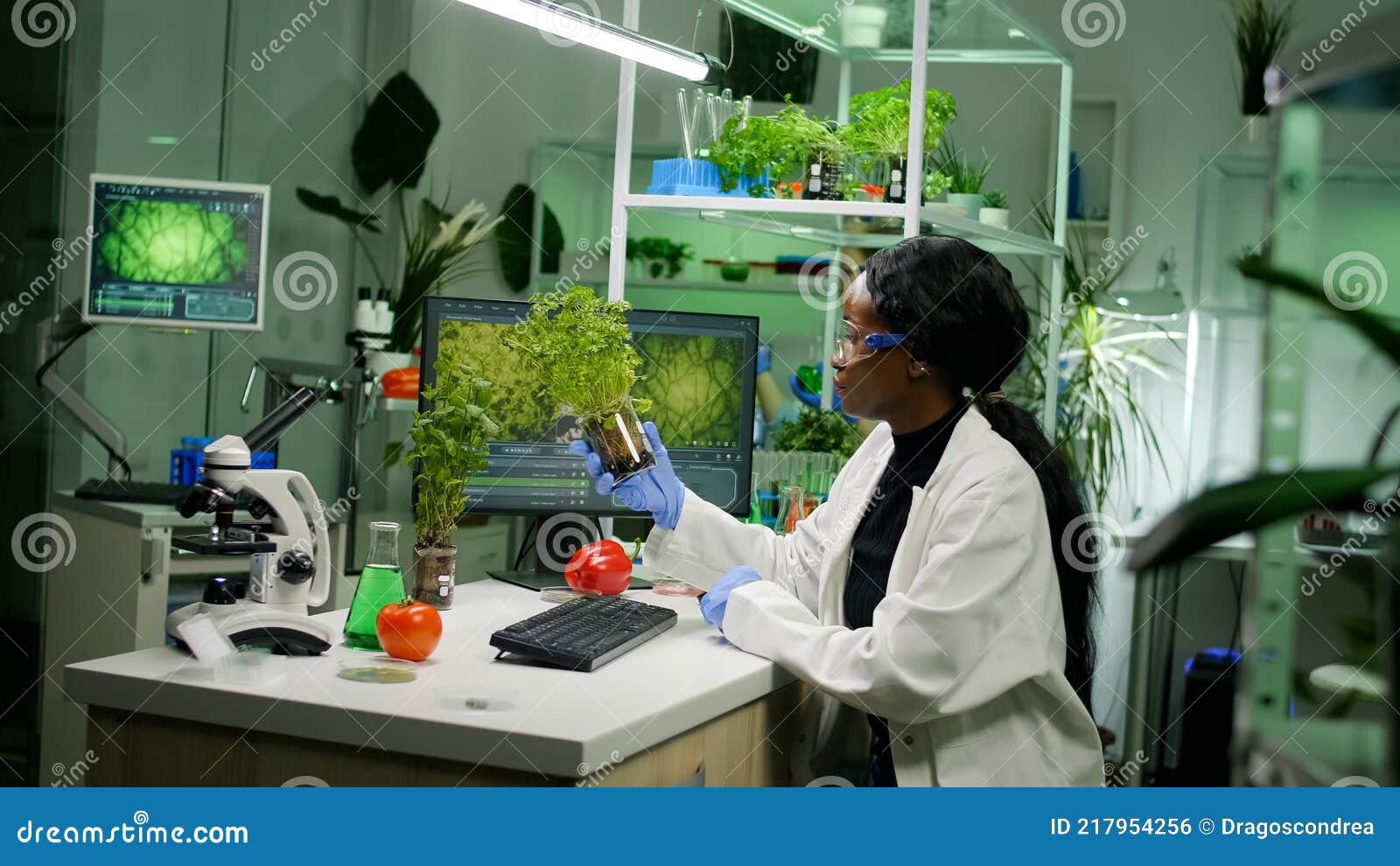 Scientist Woman Analyzing Sapling while Typing Pharmaceutical Expertise ...