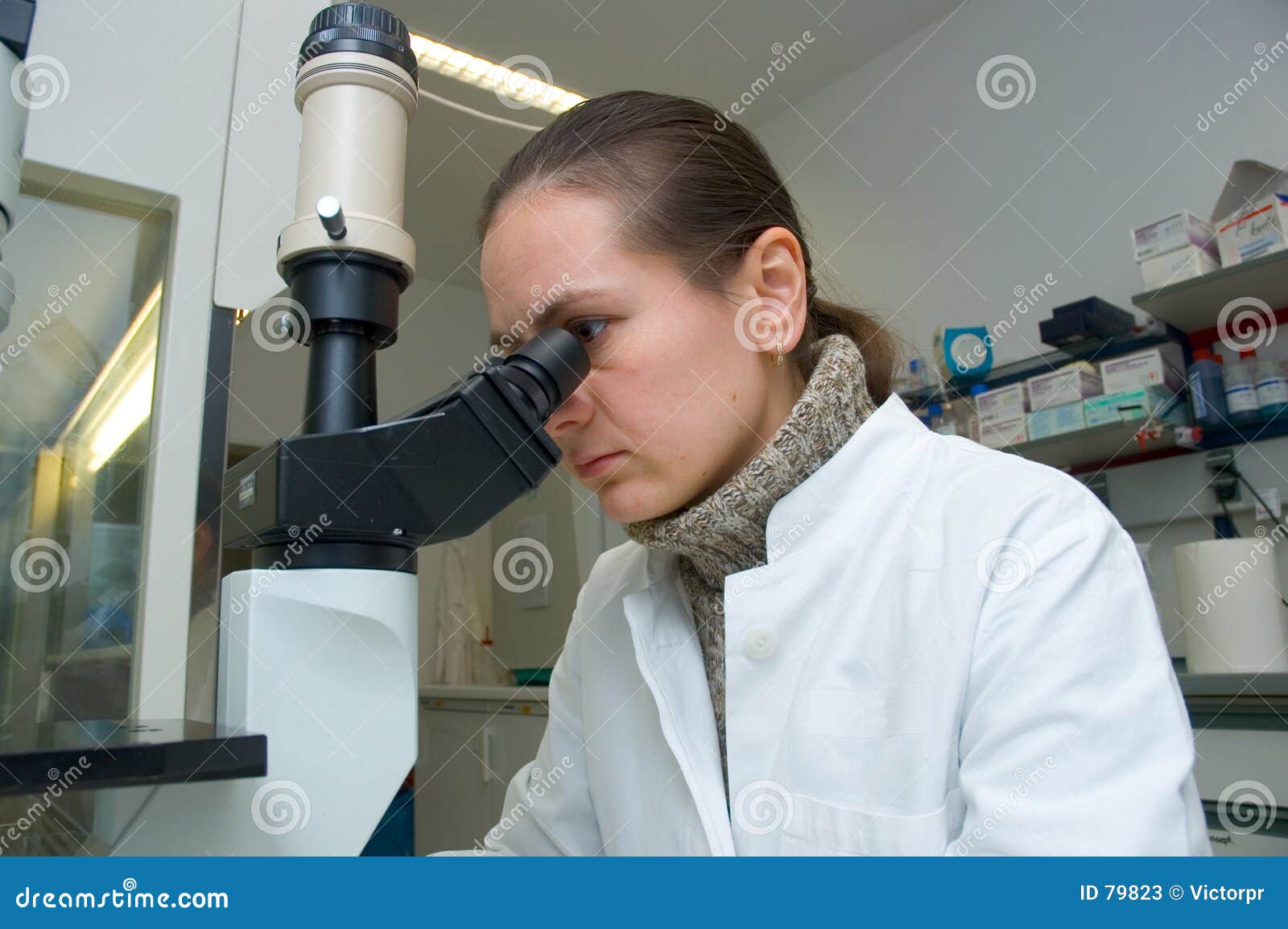 Scientist At Work Stock Photos - Image: 79823