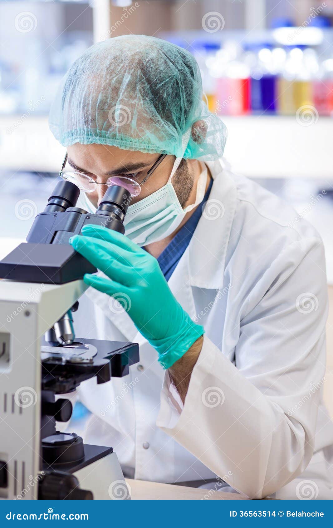 Scientist at Work in a Chemical Laboratory. Stock Photo - Image of ...