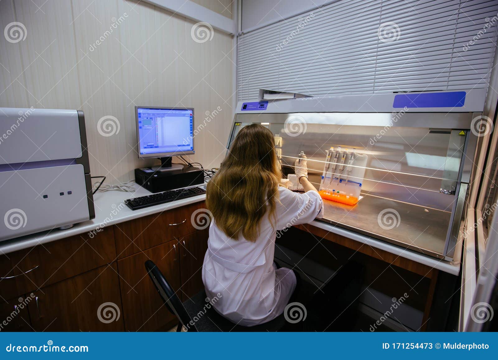 Scientist Work in Laminar Box. she Puts Samples of DNA Fragments for ...