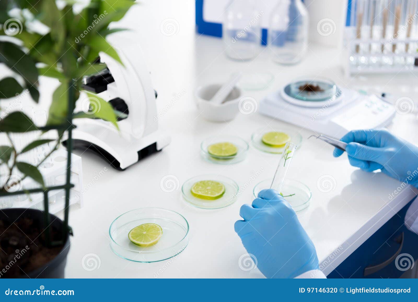 Scientist during Work at Modern Biological Laboratory Stock Photo ...