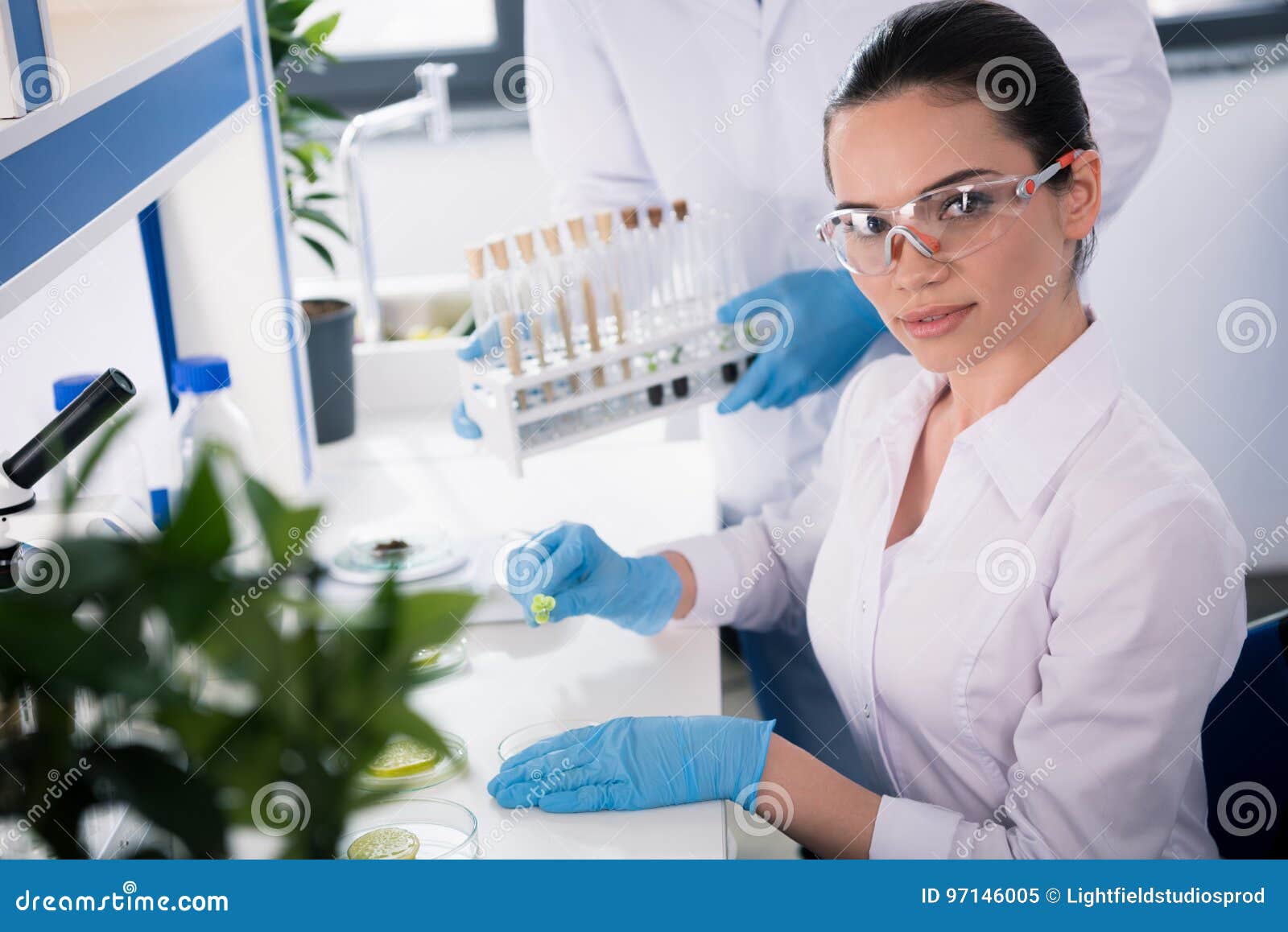 Scientist during Work at Modern Biological Laboratory Stock Image ...