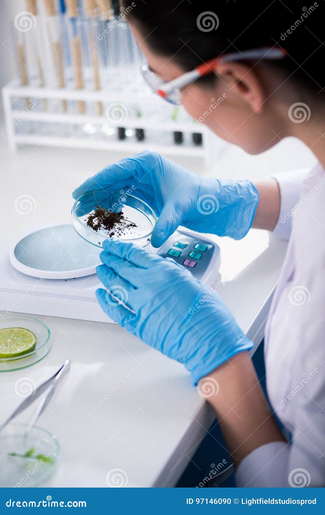 Scientist during Work at Modern Biological Laboratory Stock Photo ...