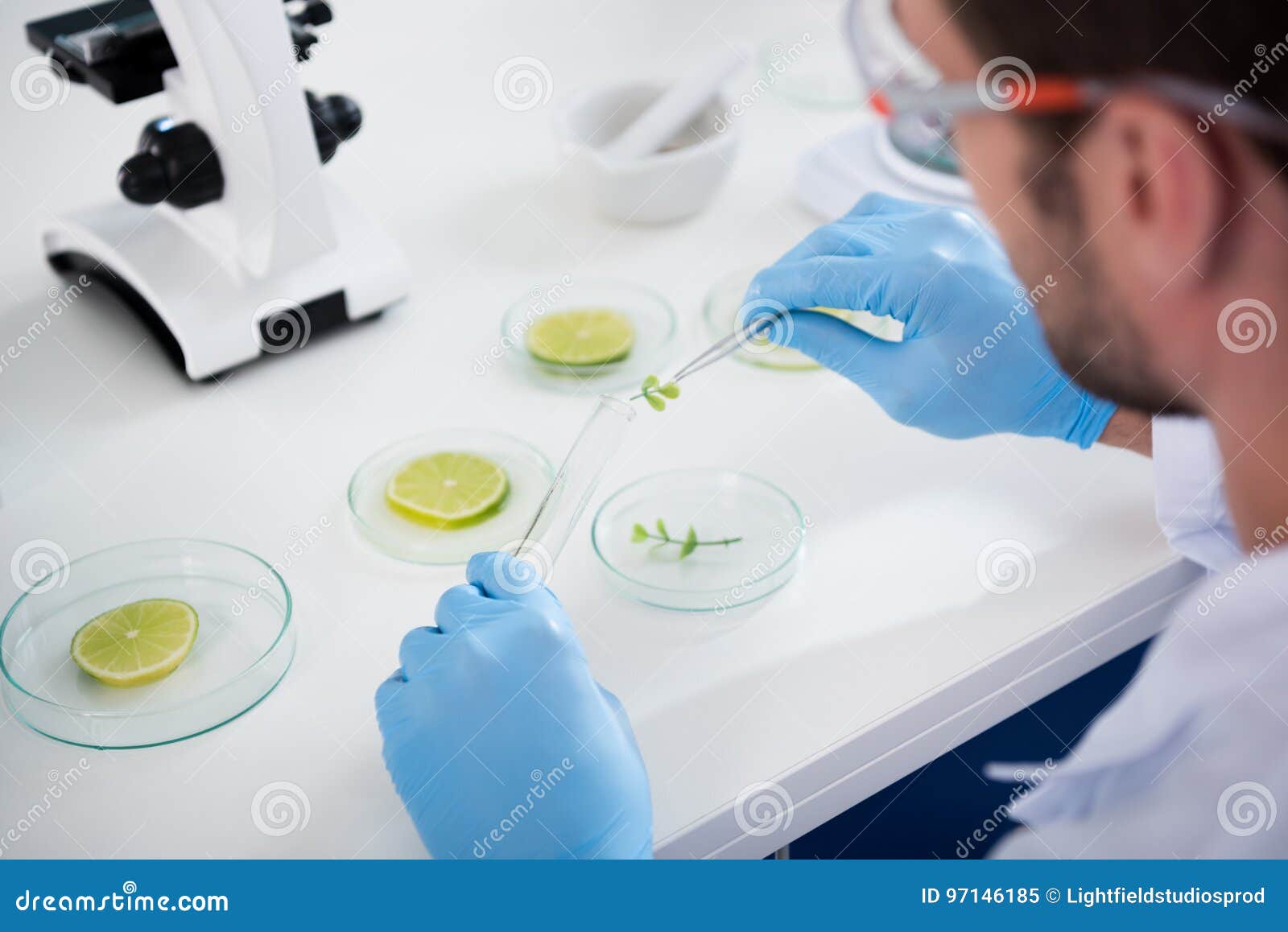 Scientist during Work at Modern Biological Laboratory Stock Image ...