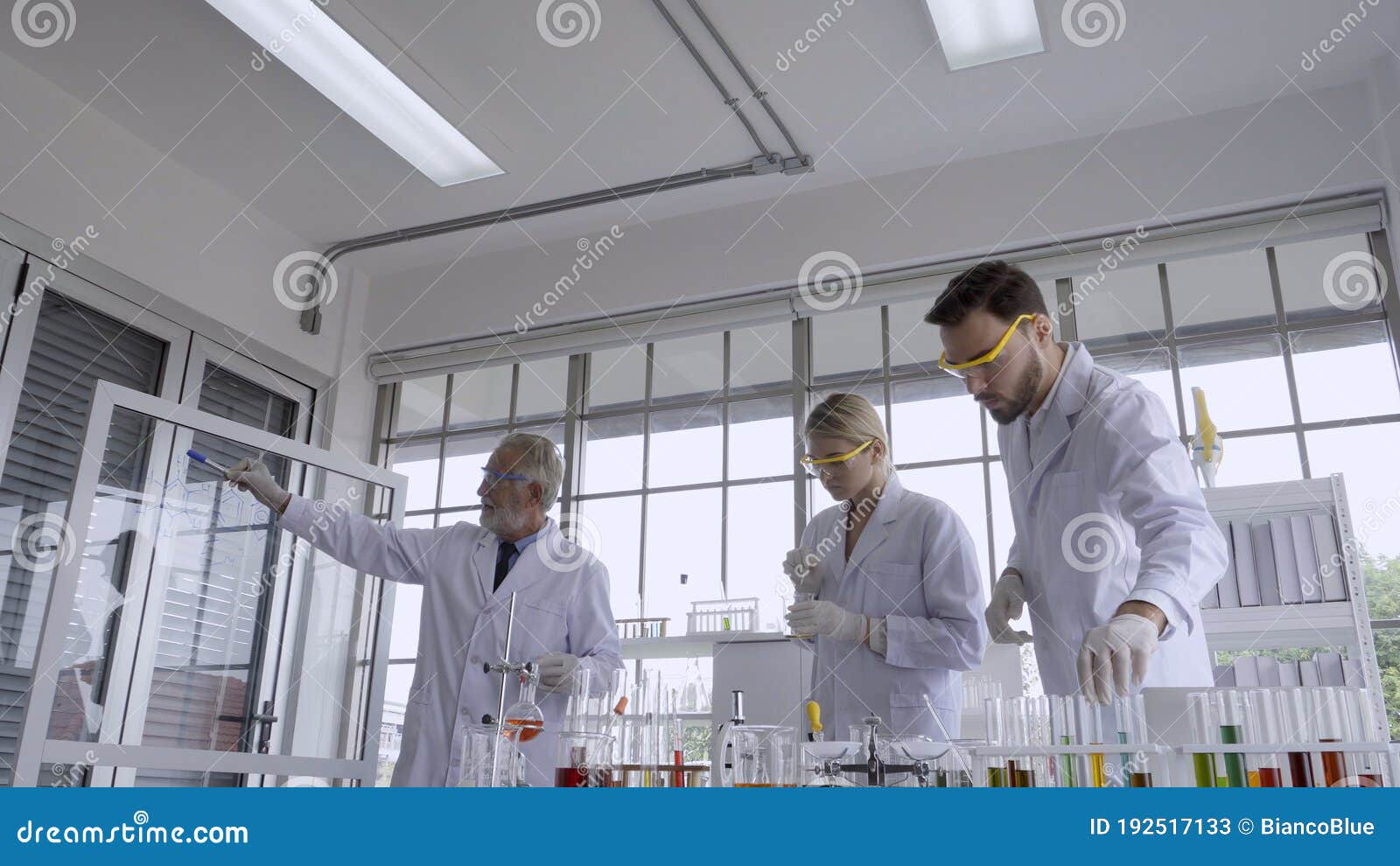 Scientist Work with Science Equipment in Laboratory. Scientific ...