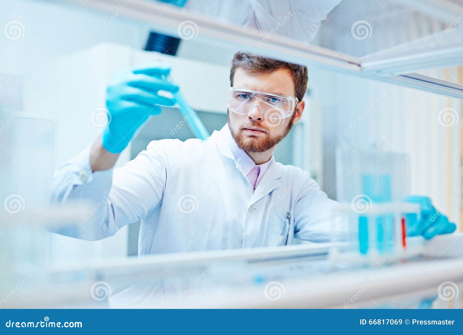 Scientist at work stock image. Image of science, investigation - 66817069