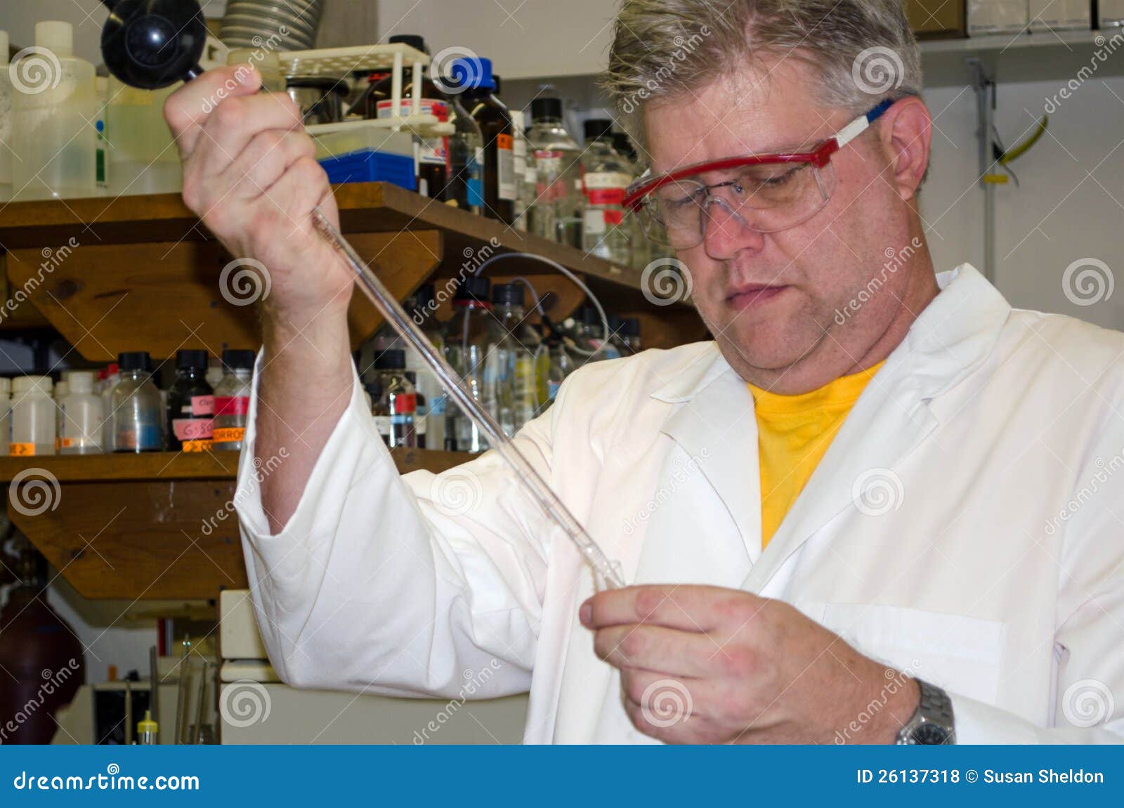 Scientist working stock photo. Image of glass, chemicals - 26137318