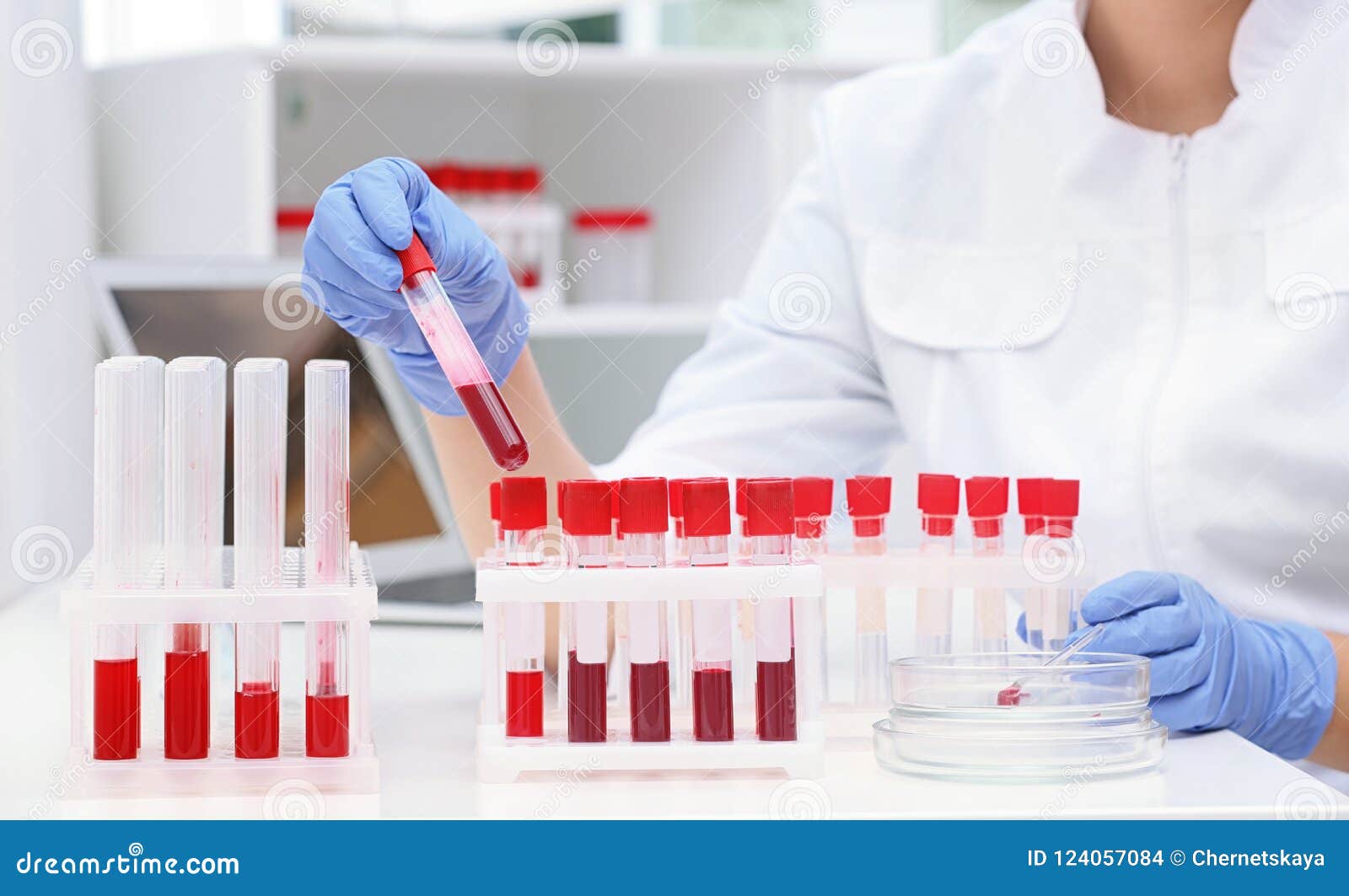 Scientist Working with Blood Samples in Test Tubes Stock Photo - Image ...