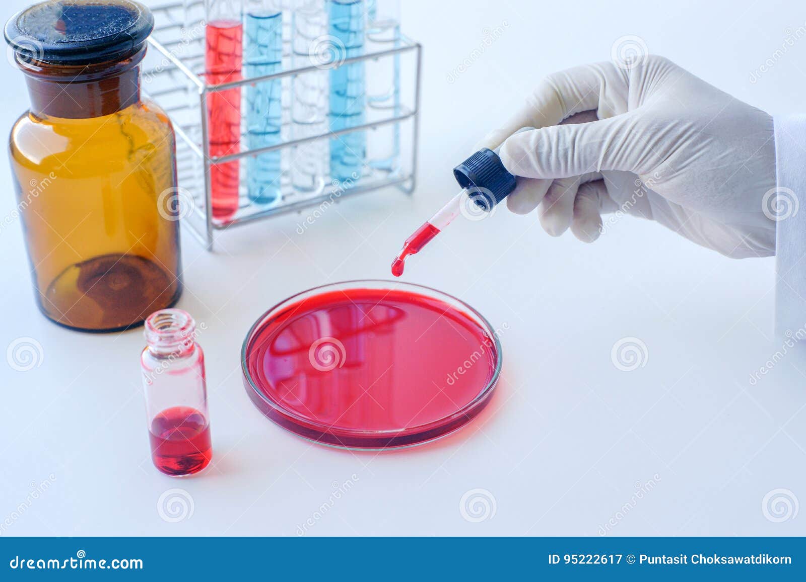Scientist Working at Blood Test in Laboratory. Stock Image - Image of ...