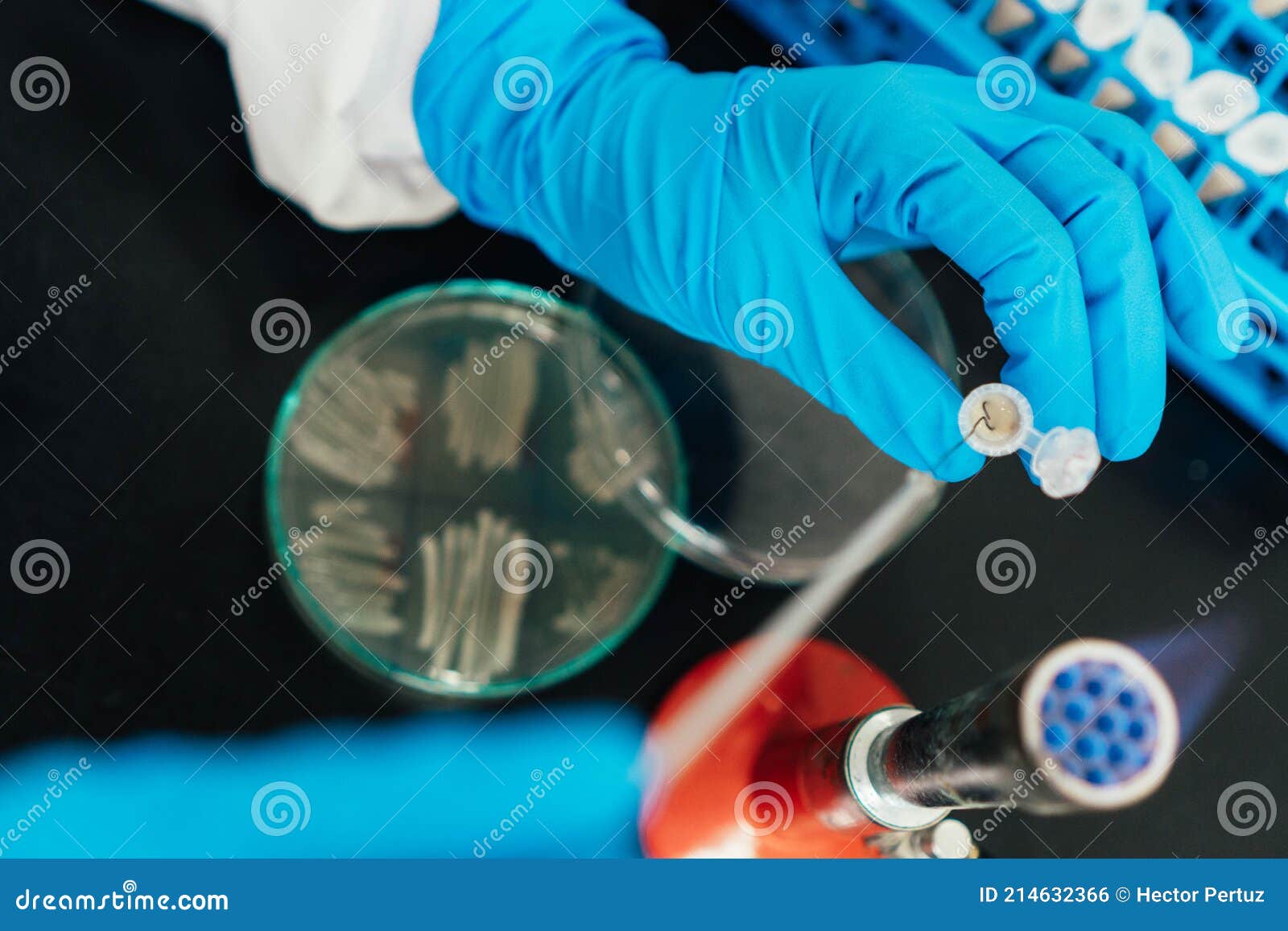 Eppendorf Vials With The DNA Samples In Thermostat In The Genetic ...