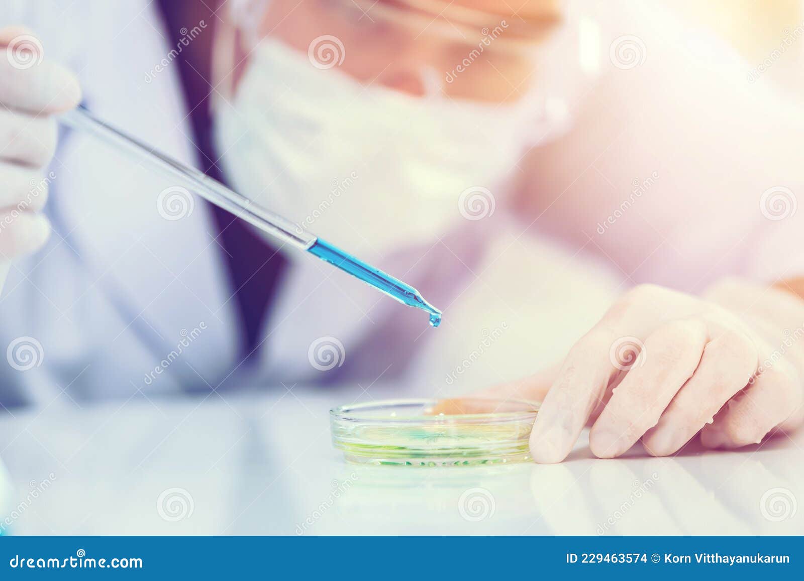 Scientist Working Experimental Chemistry Drop Testing in Glass Petri ...