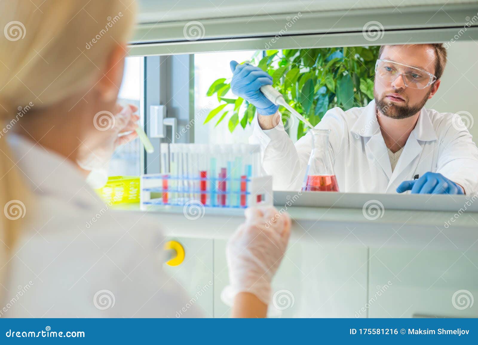Scientist Working in Lab. Doctors Making Medical Research Stock Photo ...