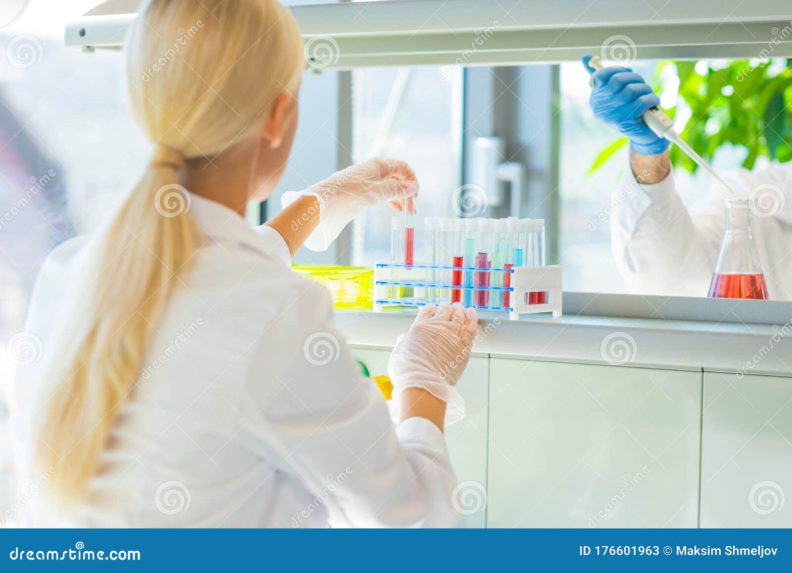 Scientist Working in Lab. Doctors Making Medical Research Stock Image ...