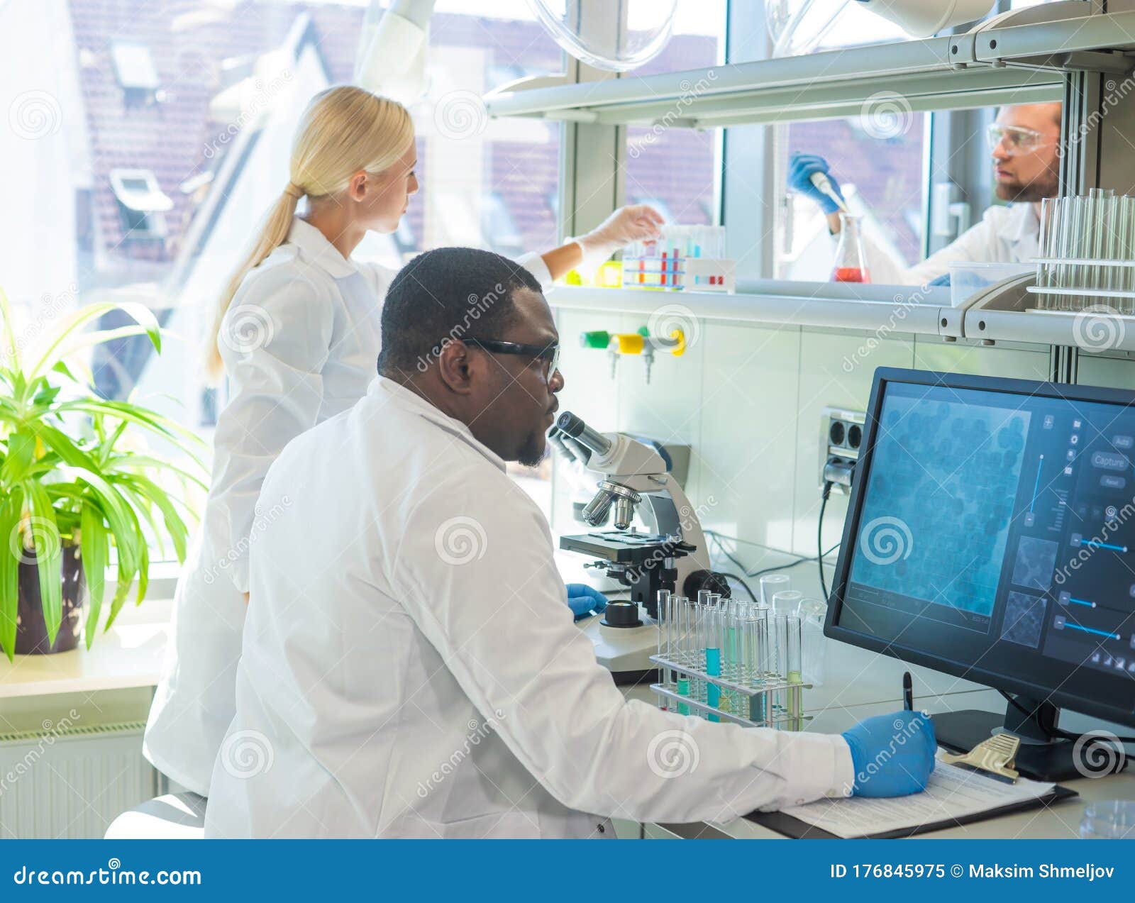 Scientist Working in Lab. Doctors Making Medical Research Stock Image ...