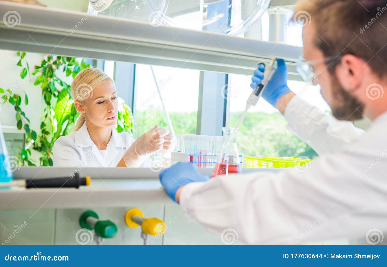 Scientist Working in Lab. Doctors Making Medical Research Stock Photo ...