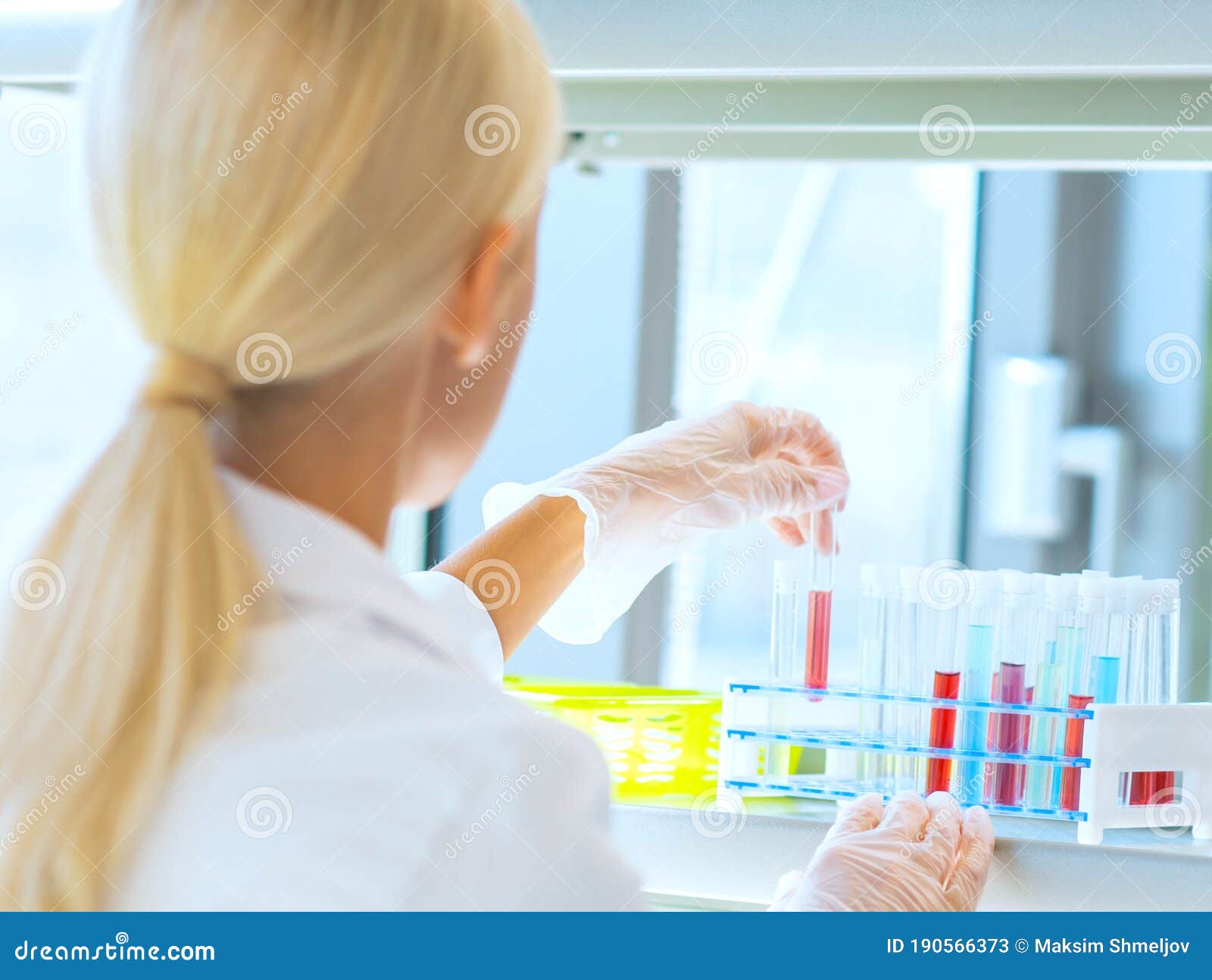 Scientist Working in Lab. Doctors Making Medical Research Stock Image ...