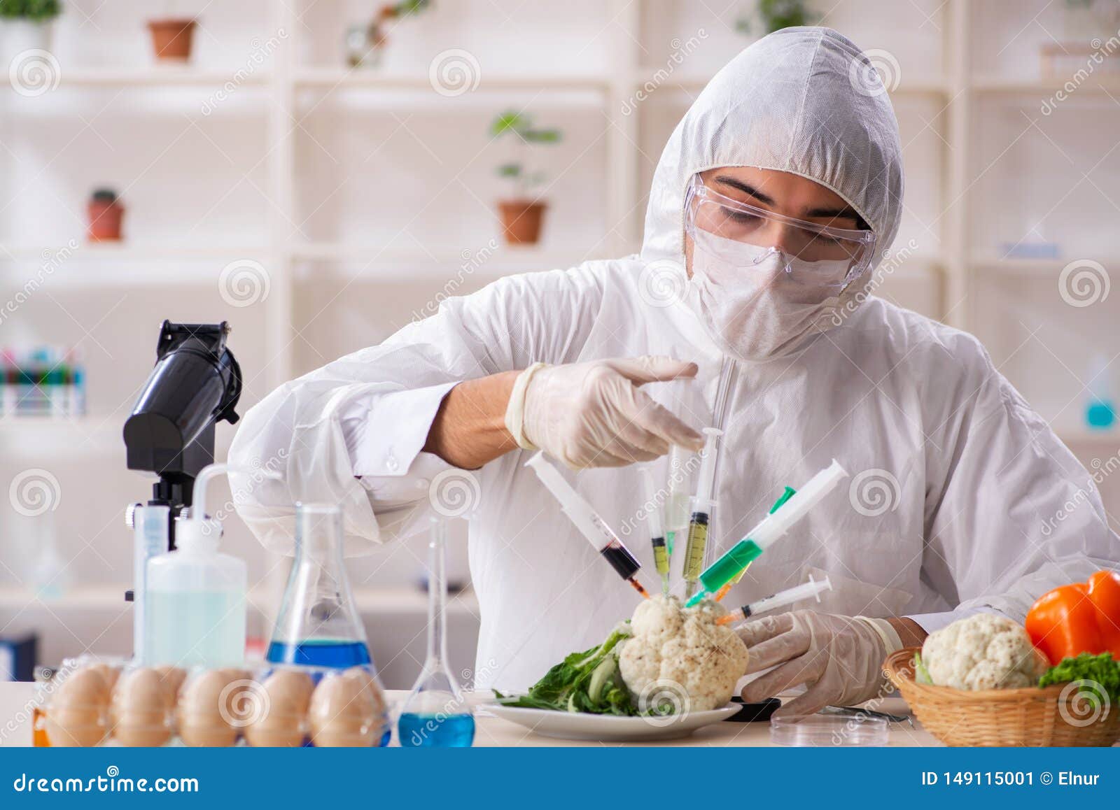 The Scientist Working in Lab on Gmo Fruits and Vegetables Stock Image ...