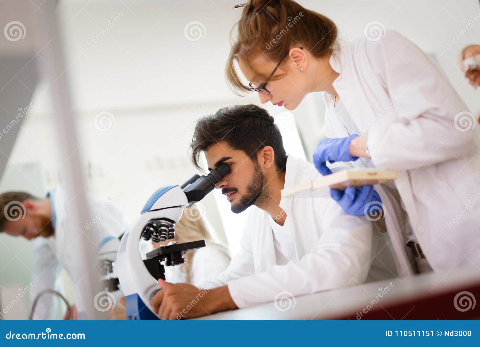 Scientist Working at the Laboratory Stock Image - Image of chemist ...
