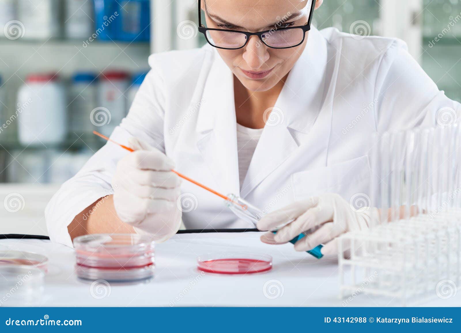 Scientist Working in a Laboratory Stock Photo - Image of rapt ...