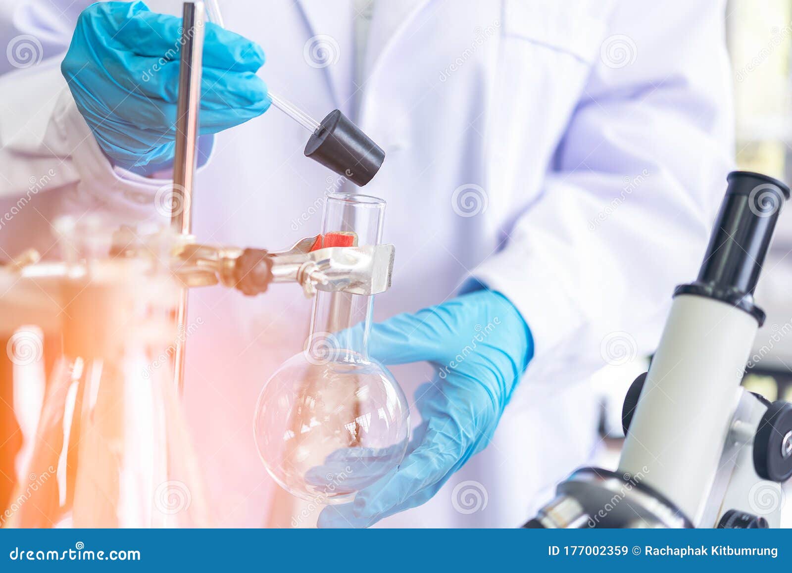 Scientist Working in Laboratory. Young Scientist Doing Some Research ...