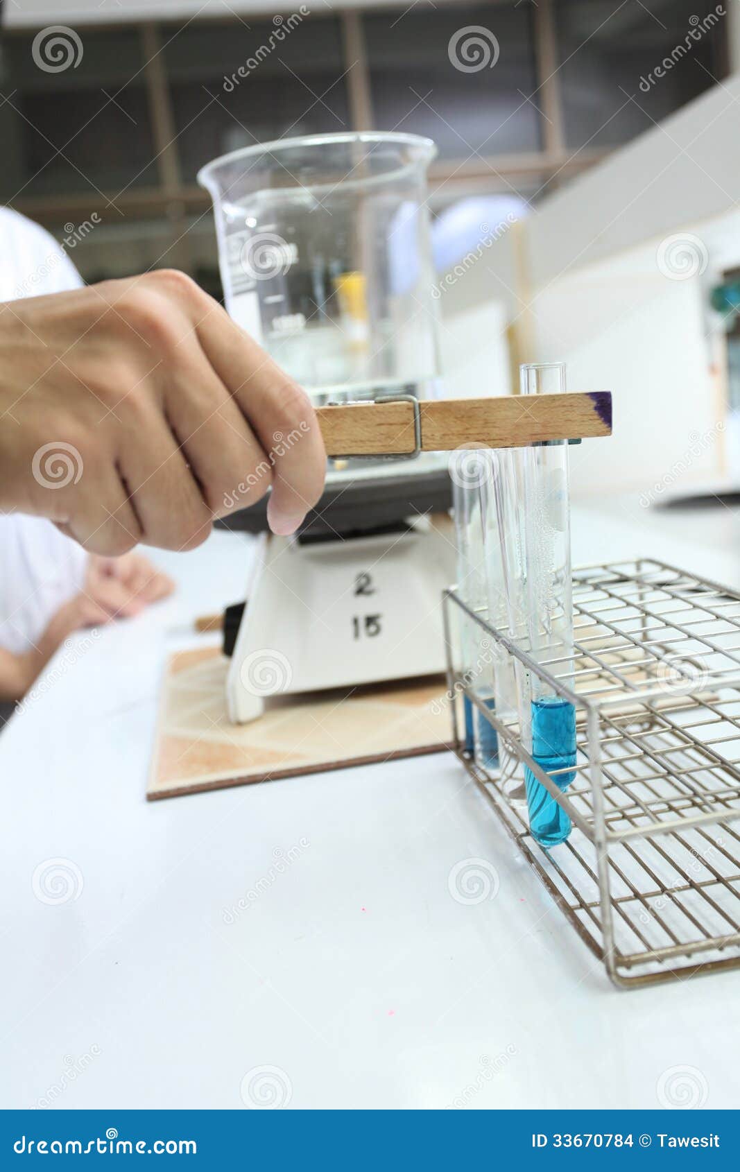 Scientist Working in Microbiology Lab Stock Photo - Image of close ...