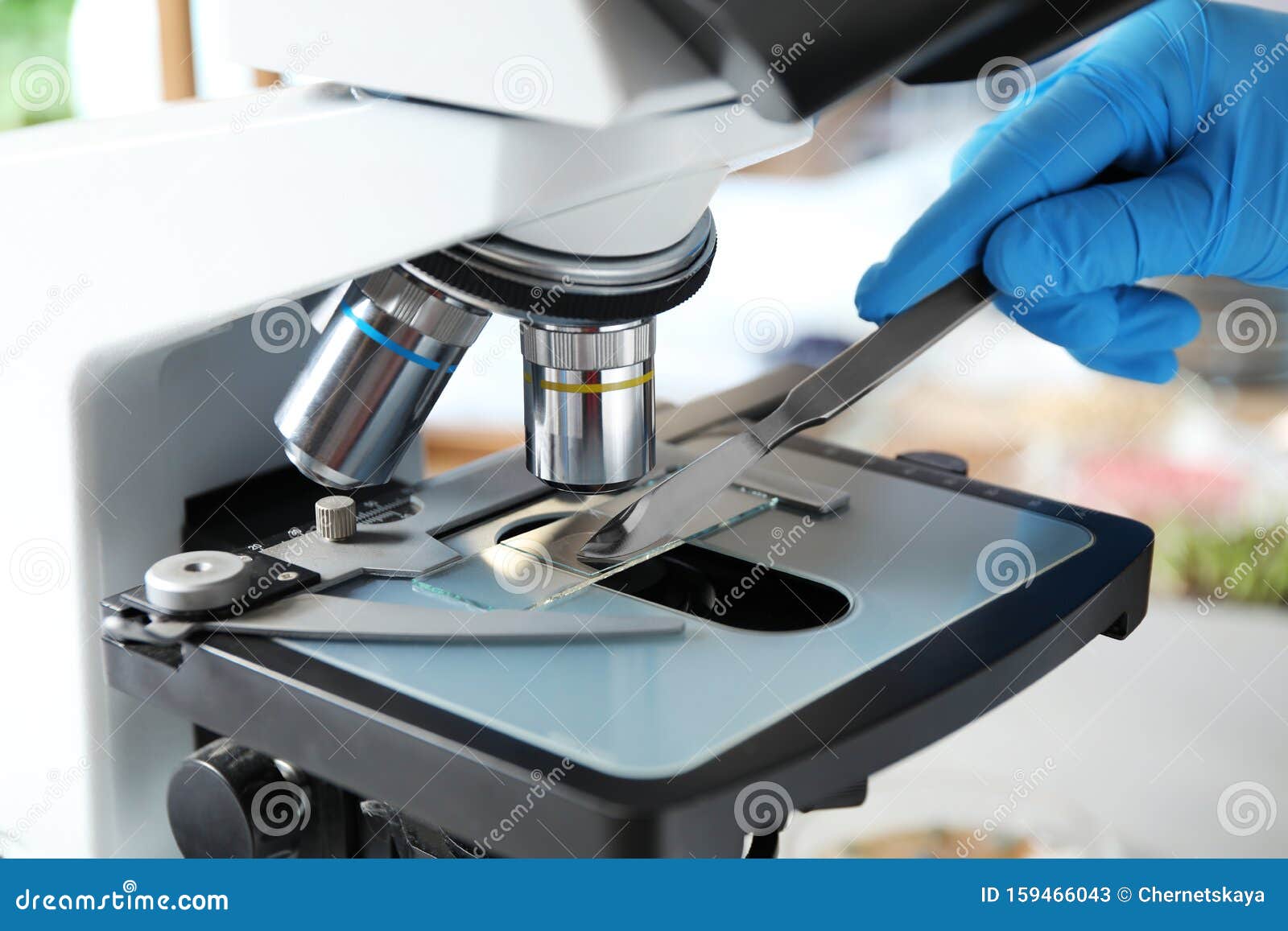 Scientist Working with Microscope in Laboratory. Phytopathological ...