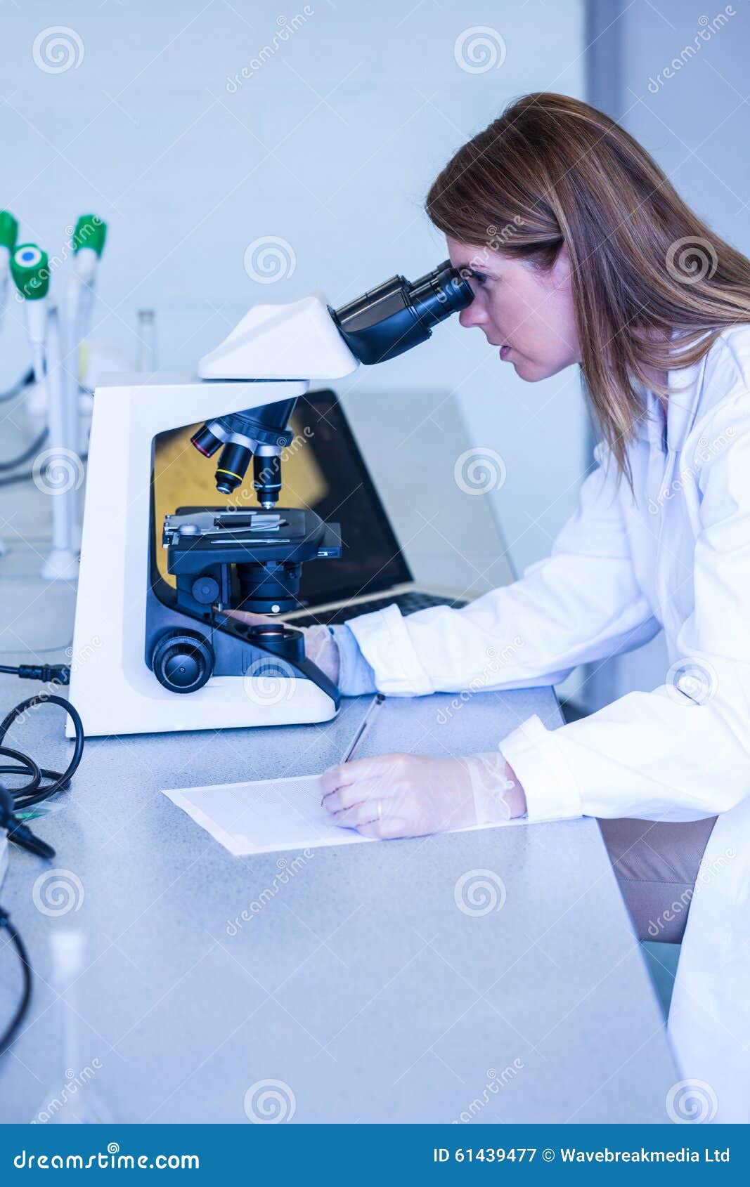 Scientist Working with a Microscope in Laboratory Stock Image - Image ...