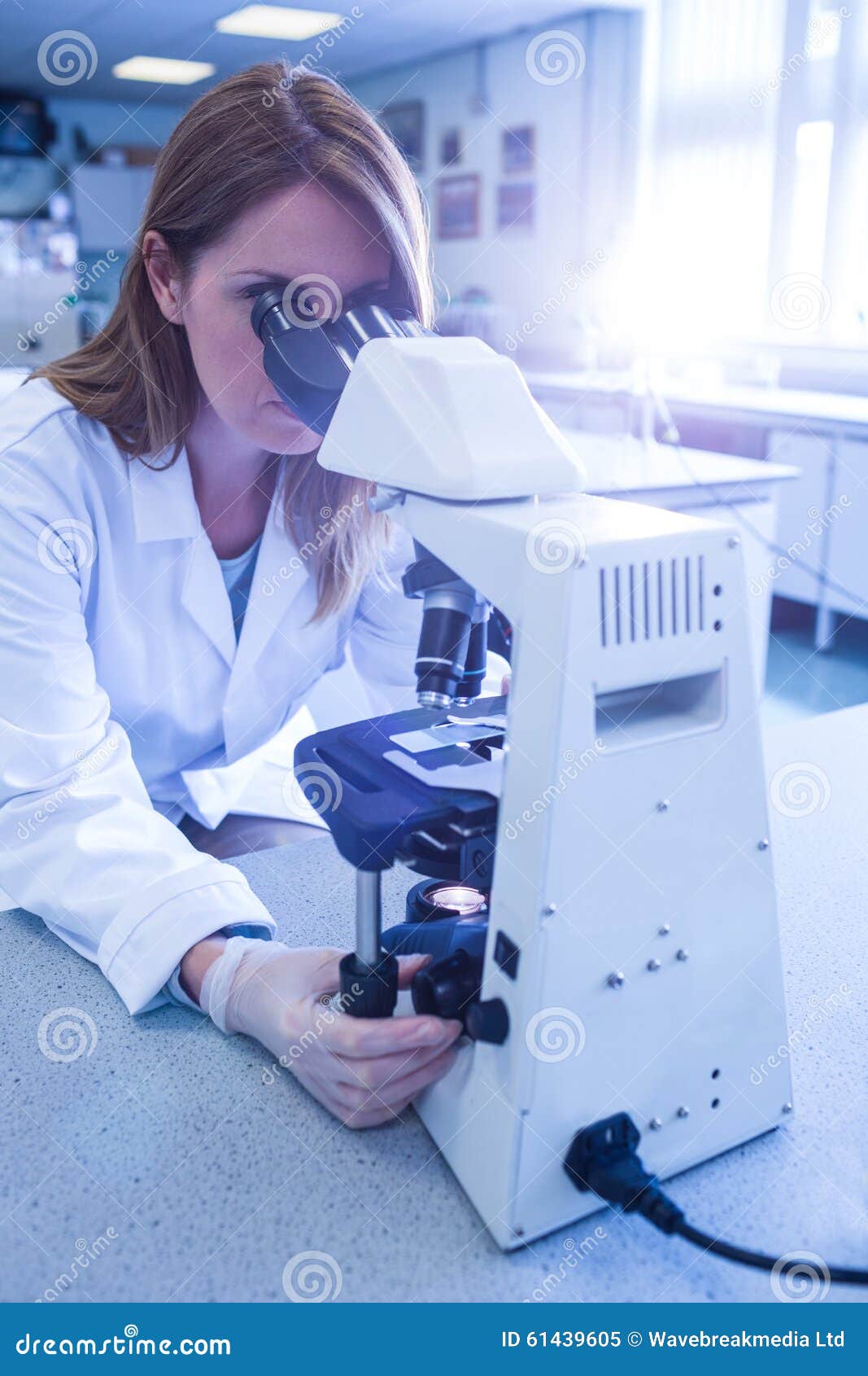 Scientist Working with a Microscope in Laboratory Stock Image - Image ...