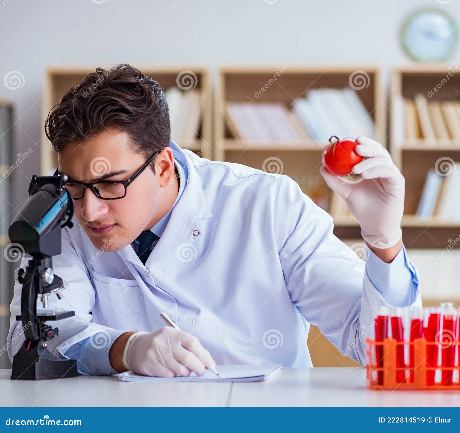 Scientist Working on Organic Fruits and Vegetables Stock Image - Image ...