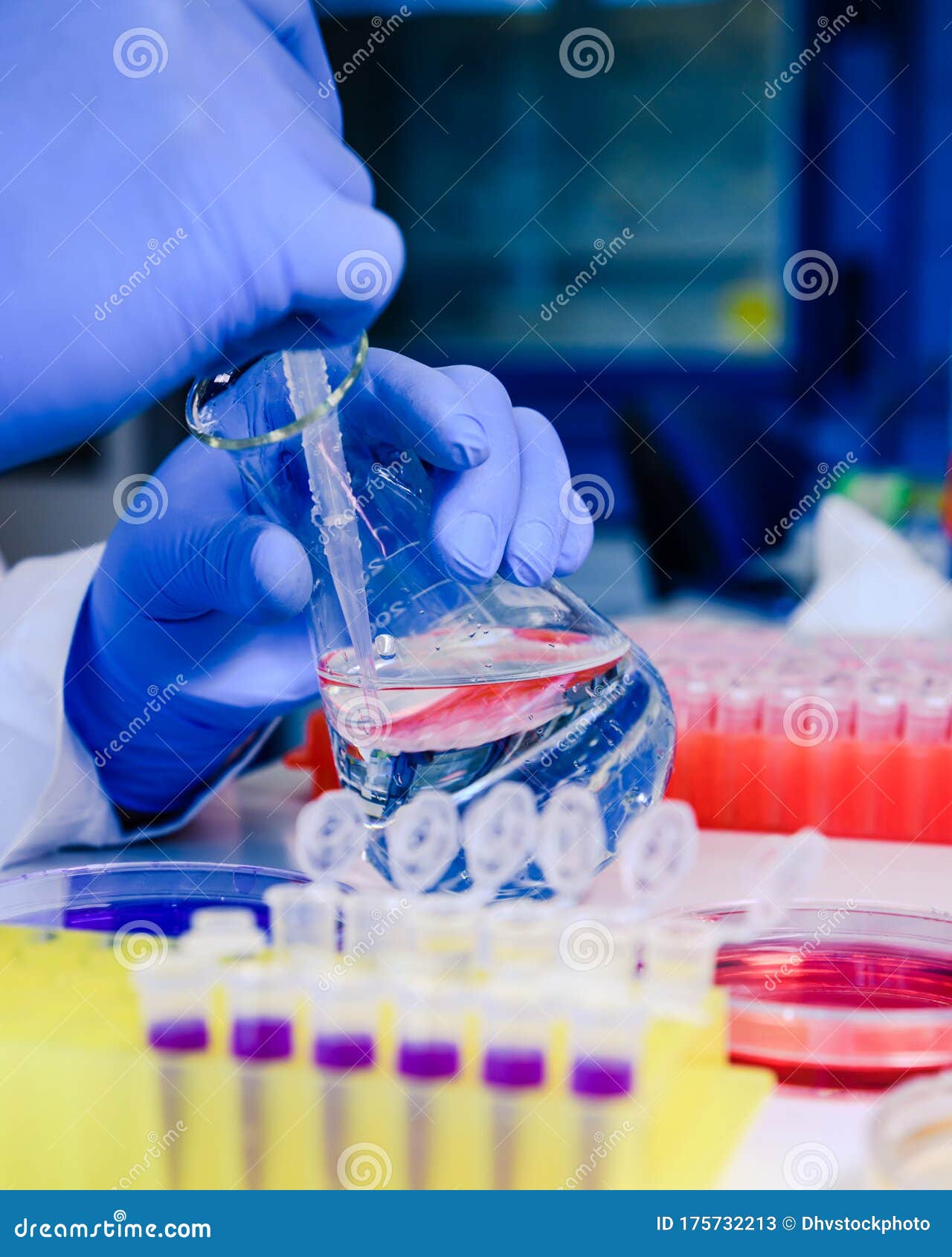 Scientist Working with a Pipette and a Flask, in Plastic Tubes for DNA ...