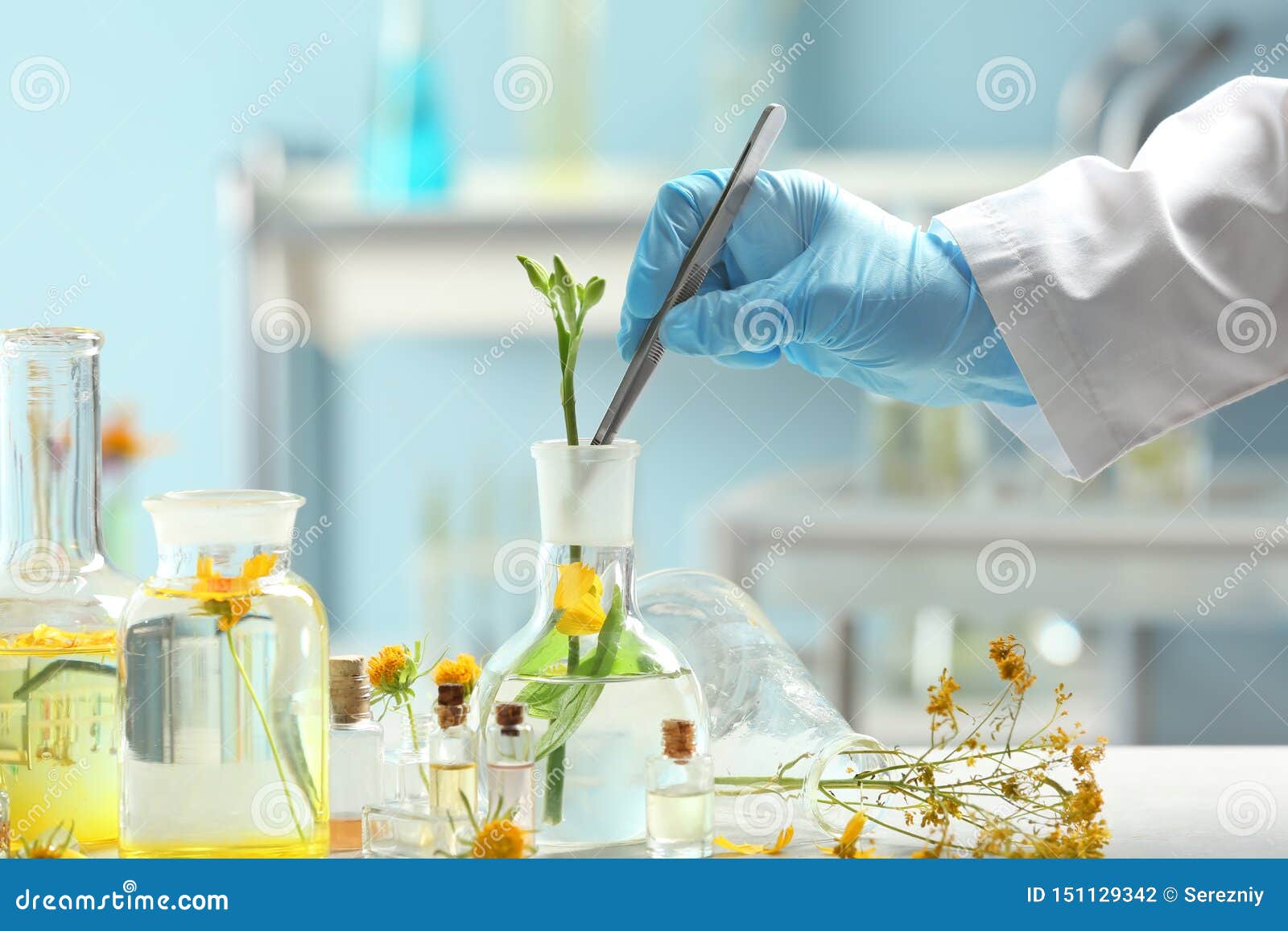 Scientist Working with Plants in Laboratory Stock Photo - Image of ...