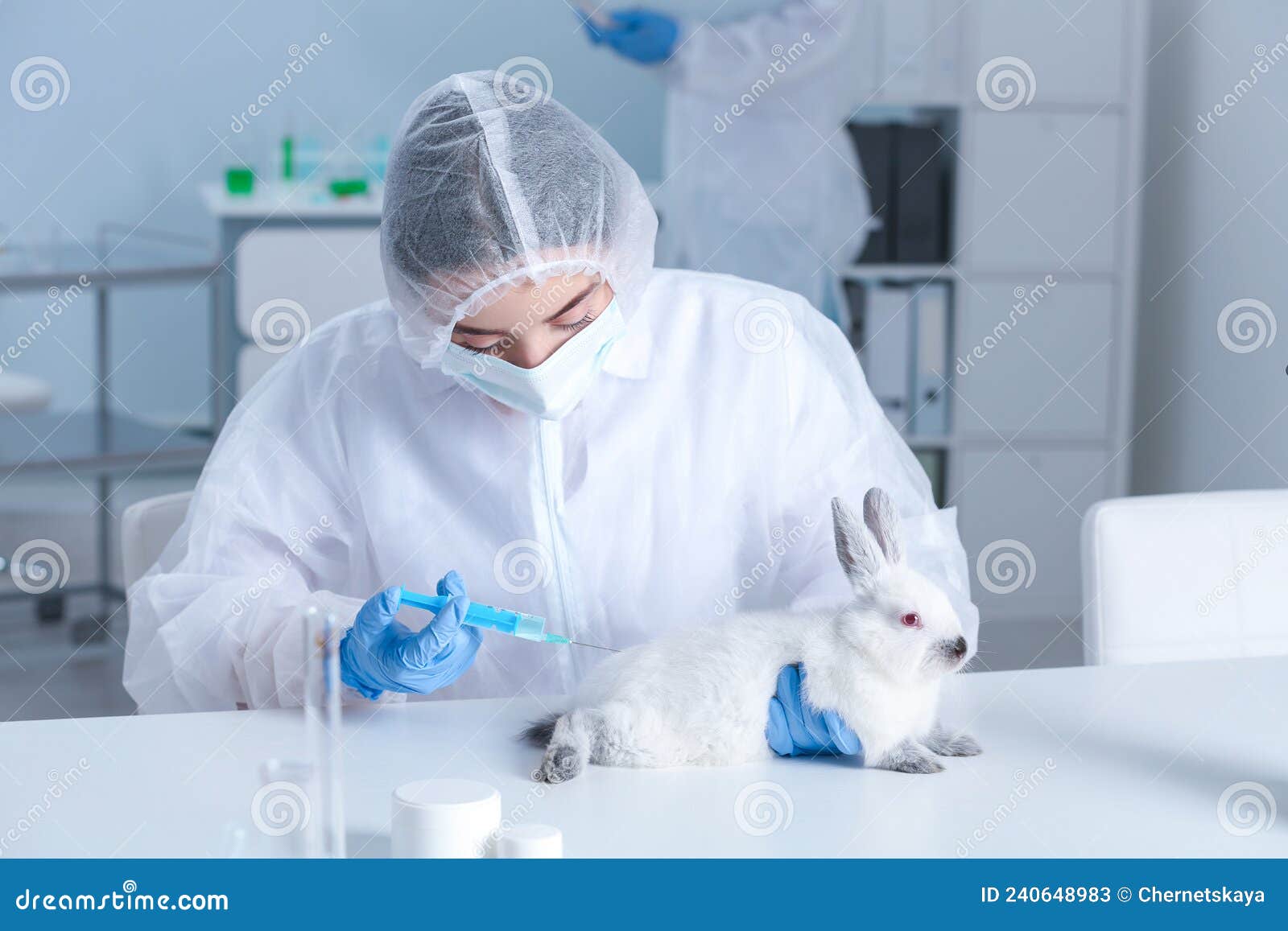 Scientist Working with Rabbit in Chemical Laboratory. Animal Testing ...