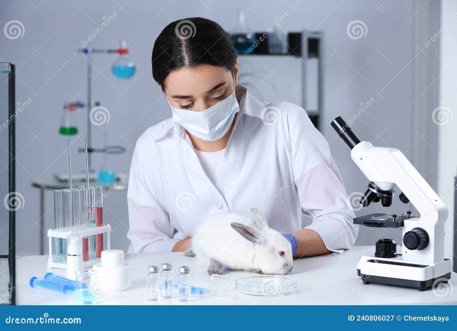 Scientist Working with Rabbit in Chemical Laboratory. Animal Testing ...
